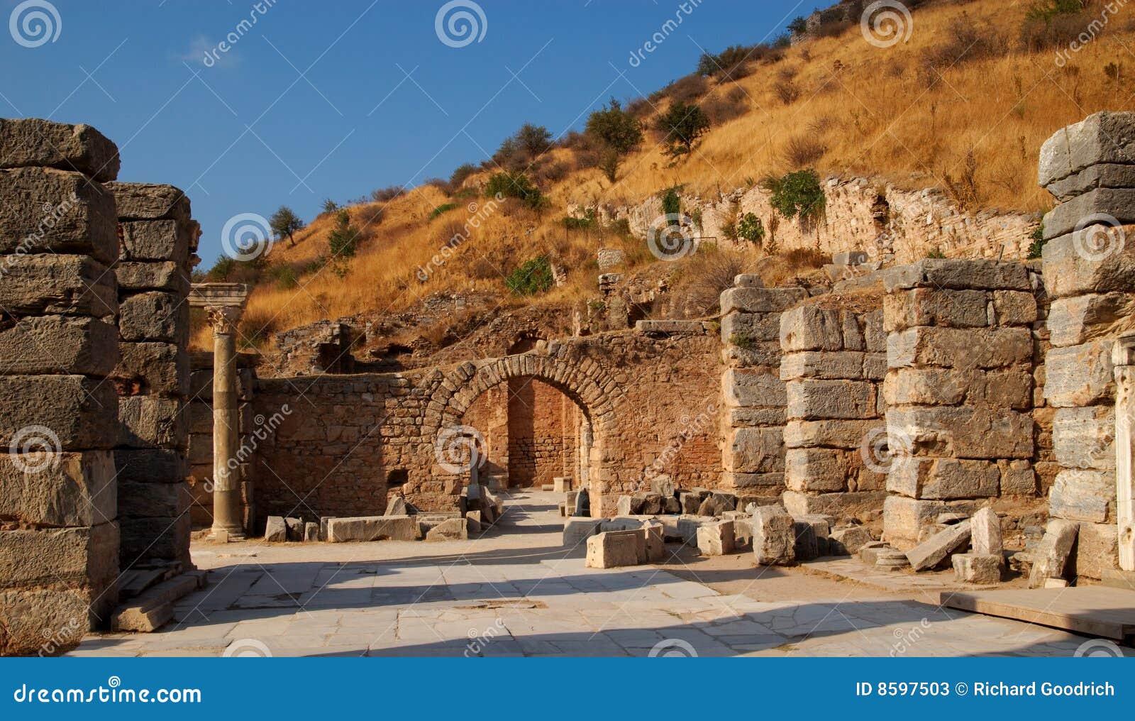 Ancient Road In The Forest On Camino De Santiago. Path In Wood ...