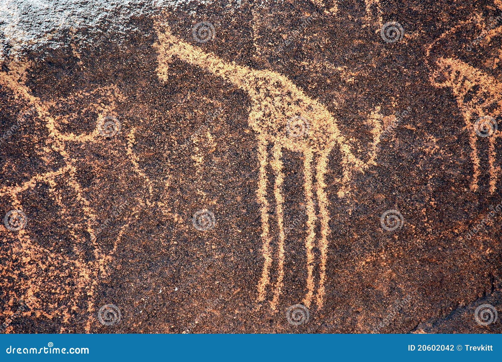 Ancient Rock Art in Niger Depicting a Giraffe Stock Photo - Image of ...