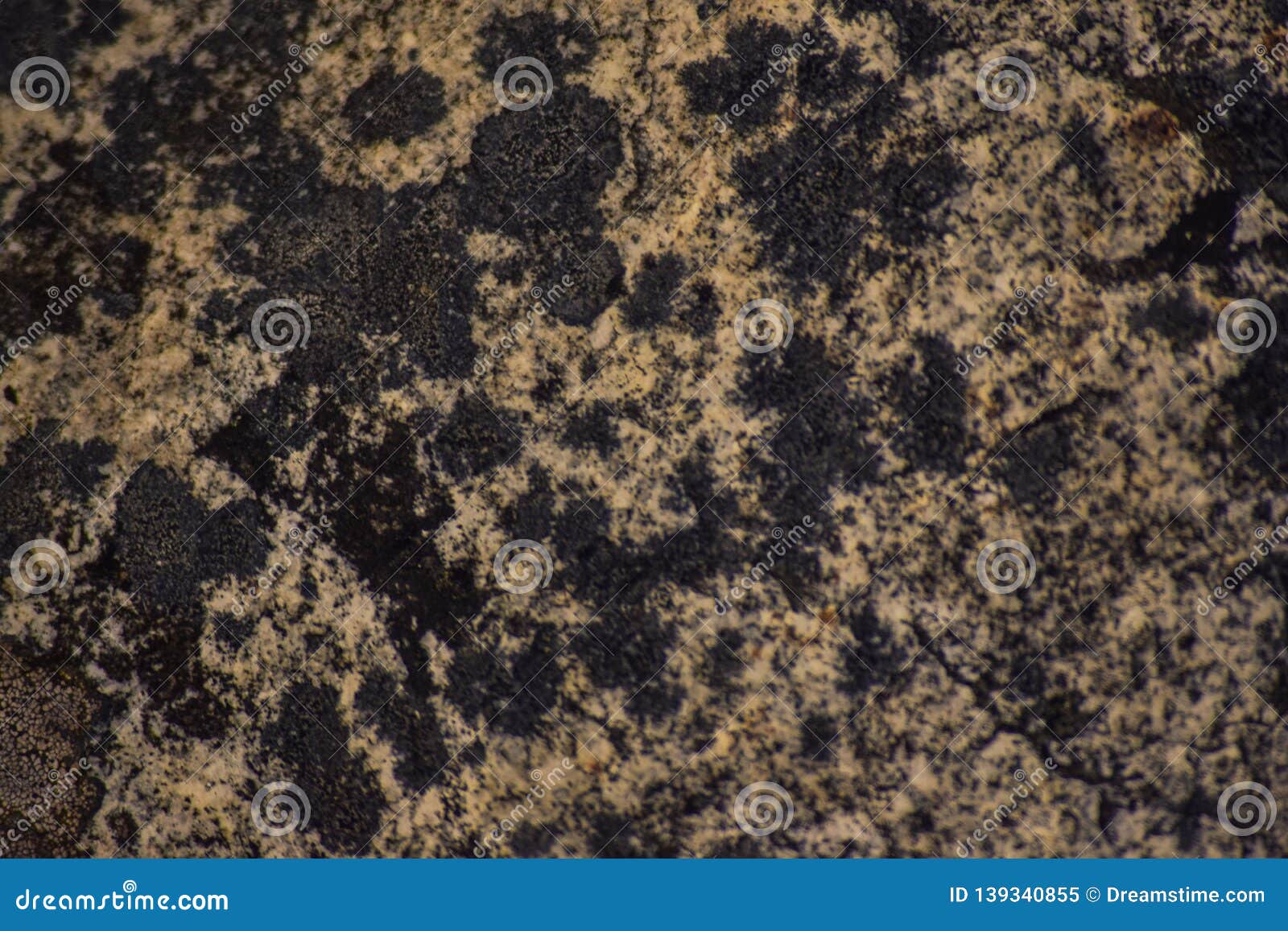 Rock with black spots stock image. Image of pink, rock - 139340855