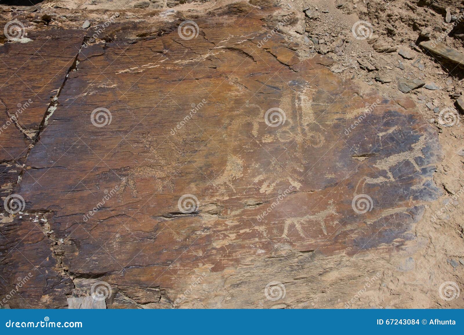 Ancient rock carvings stock photo. Image of altai, embossing - 67243084