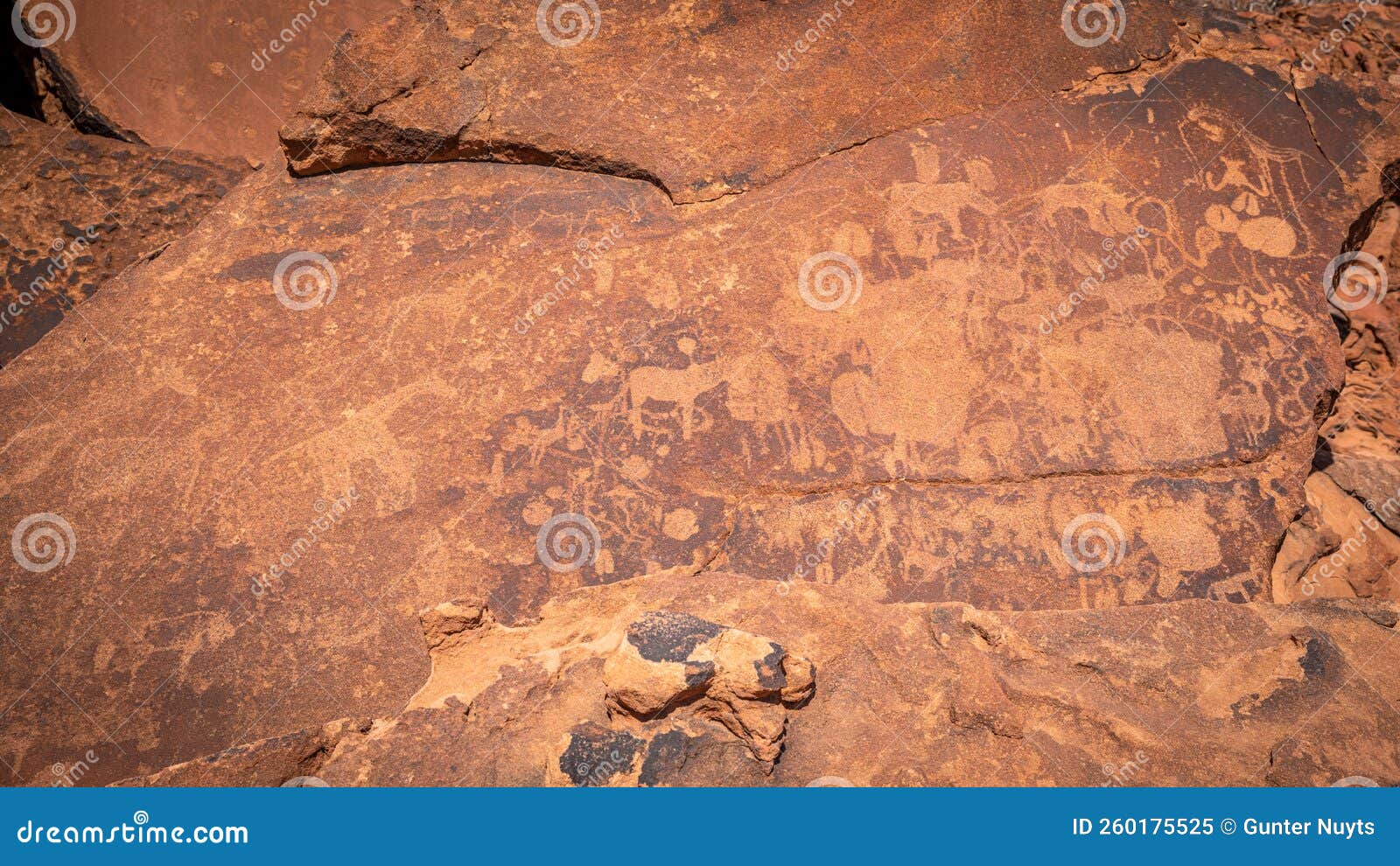 Ancient Rock Engravings in Twyfelfontein, Damaraland, Namibia. Stock ...
