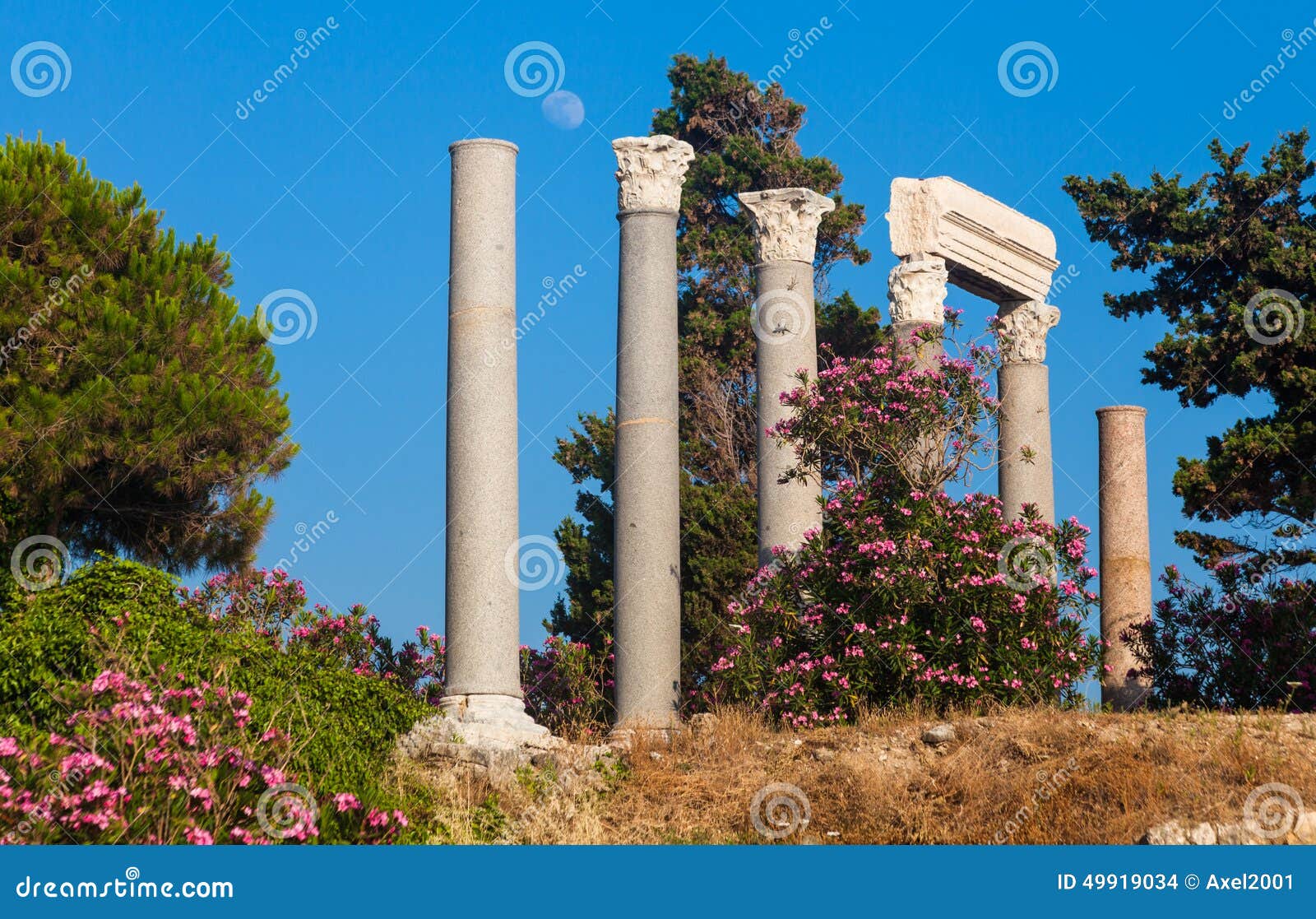 Roman Columns Stock Photography | CartoonDealer.com #10630724