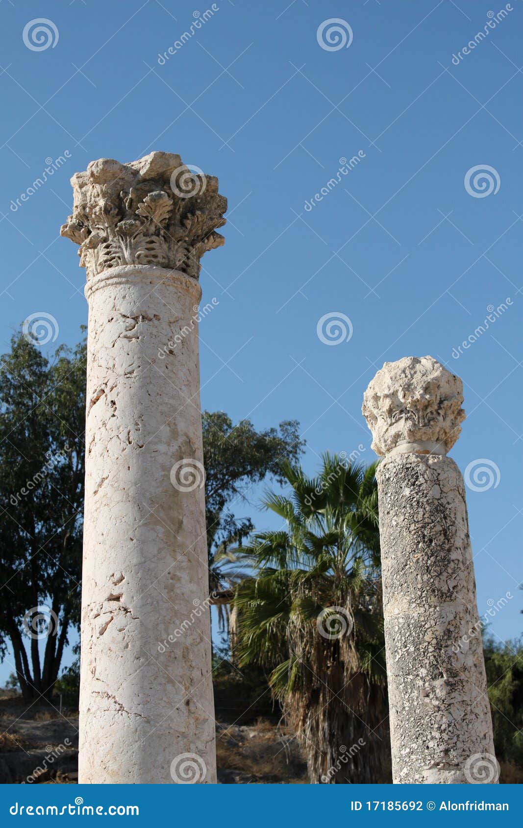 Ancient Roman Columns Top stock photo. Image of columns - 17185692