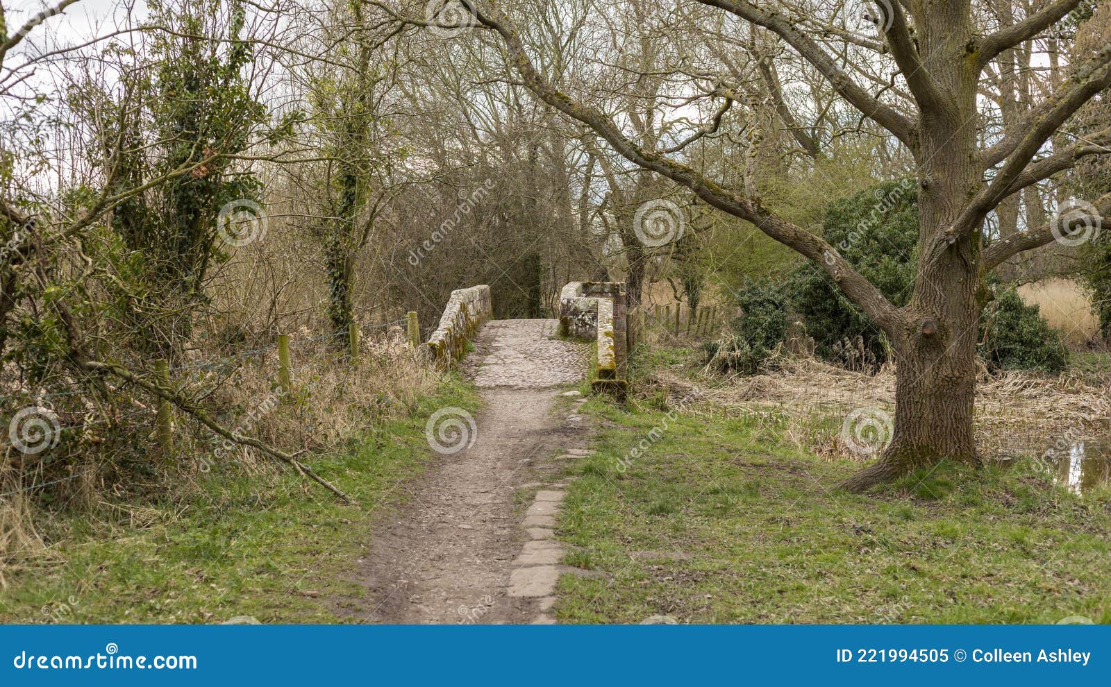 Ancient Roman Pack Horse Road Stock Image - Image of structure ...