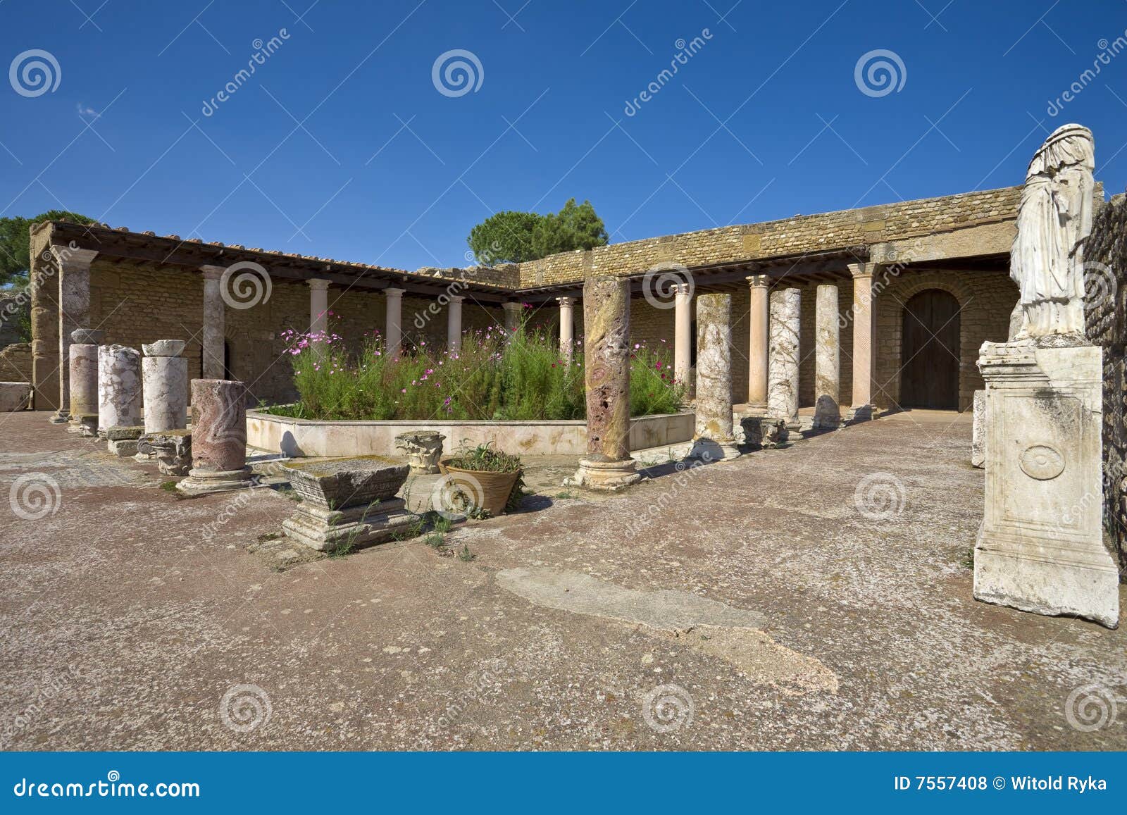 Ancient Roman Domus