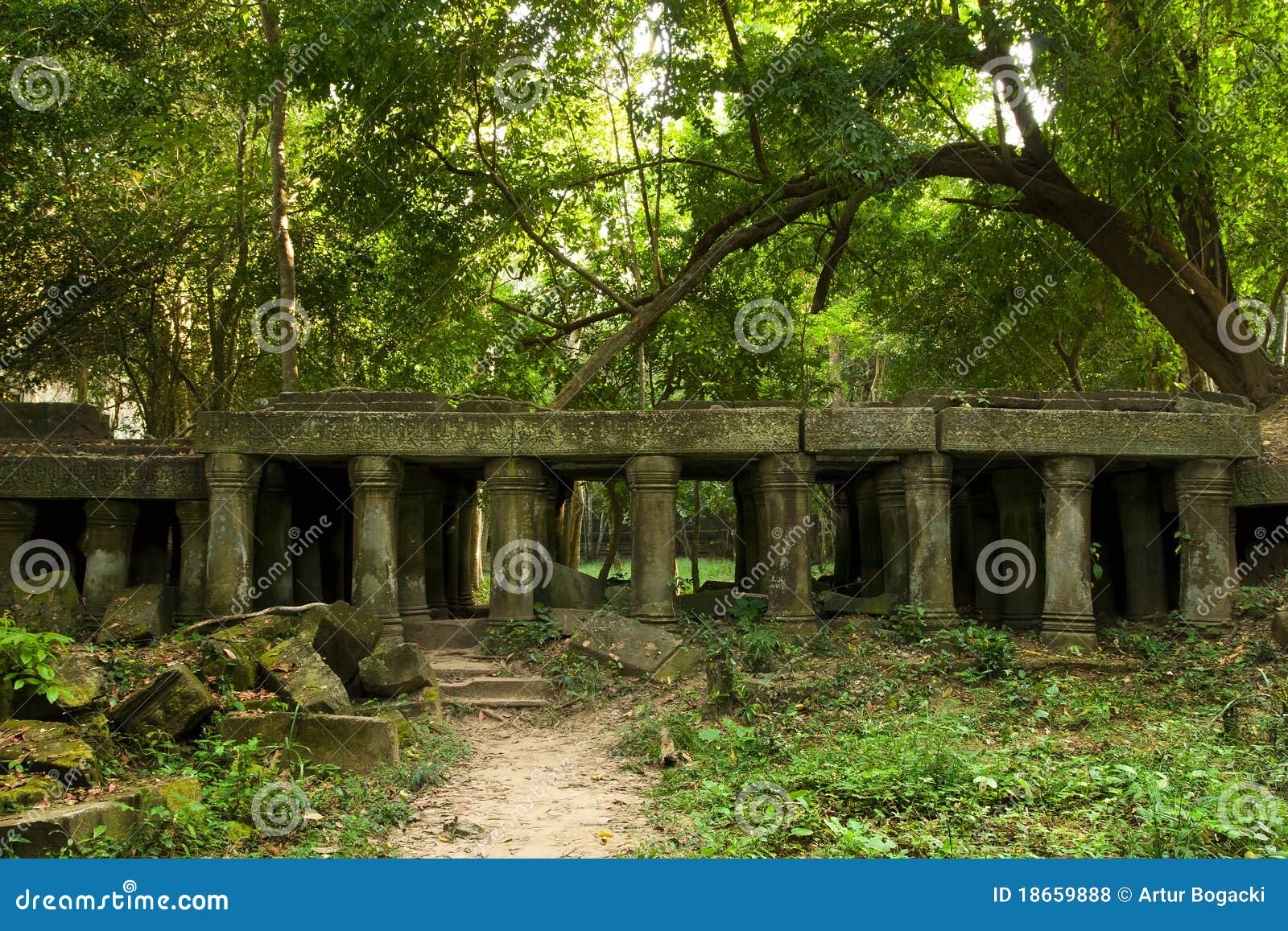 Ancient Ruins In Forest