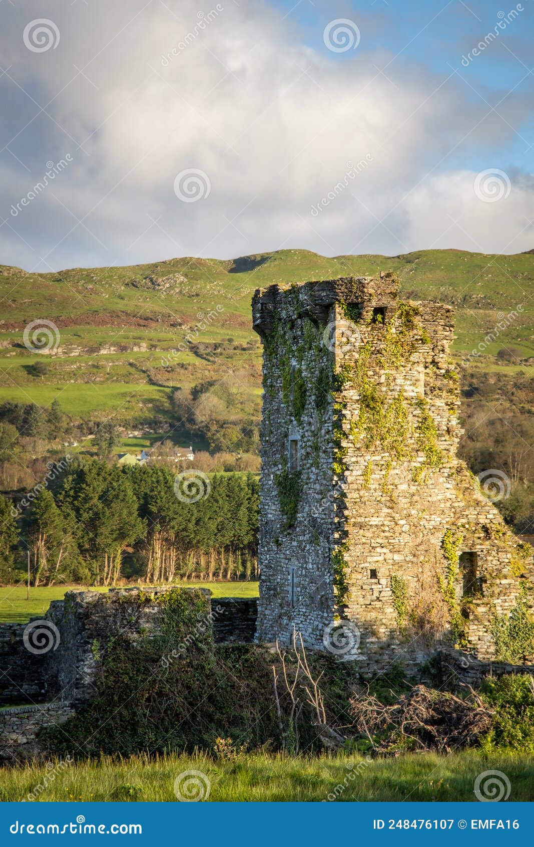 Ancient Ruins of Carriganass Castle, County Cork Stock Image - Image of ...