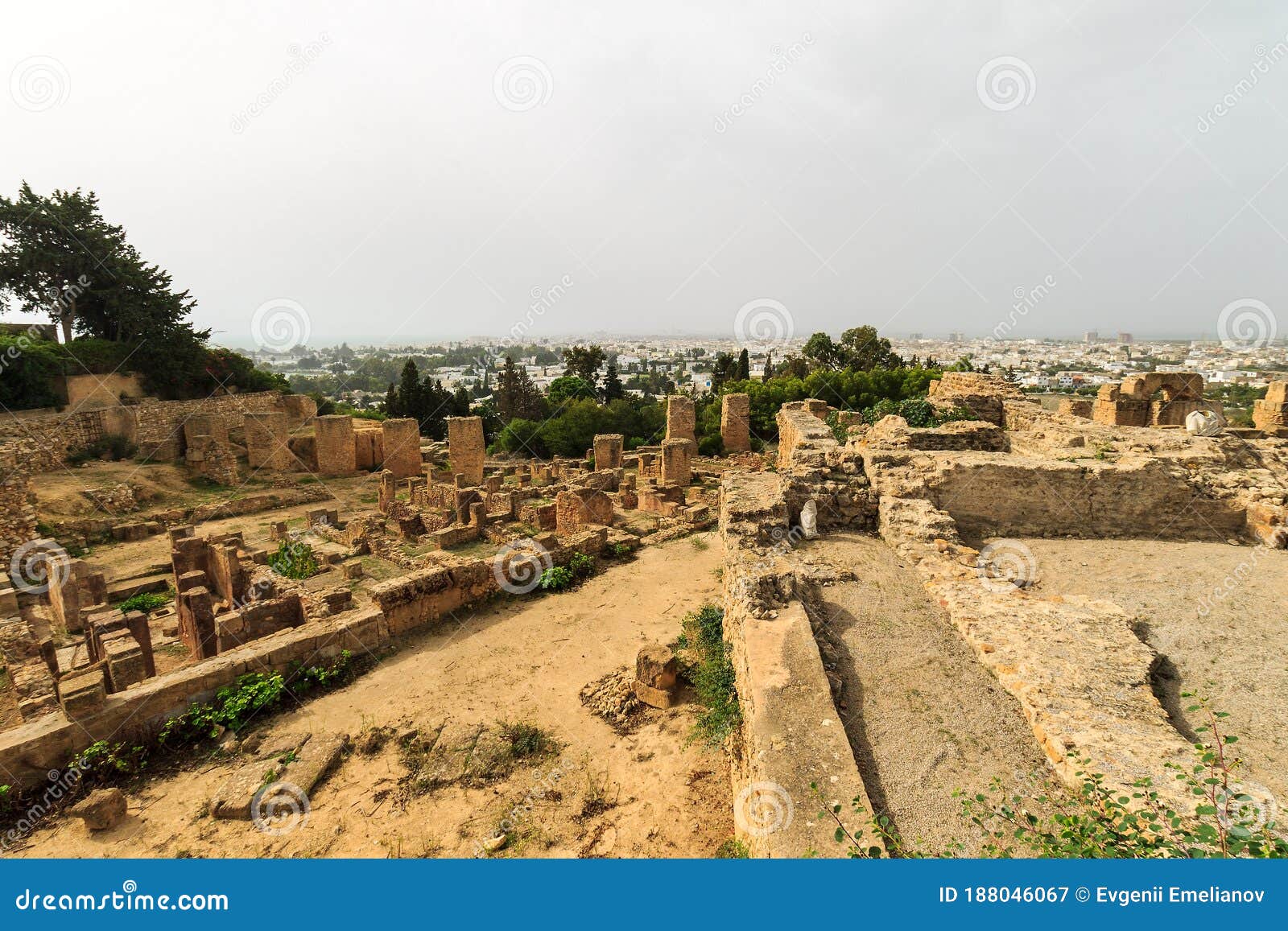 Ancient ruins of Carthage editorial photography. Image of plant - 188046067