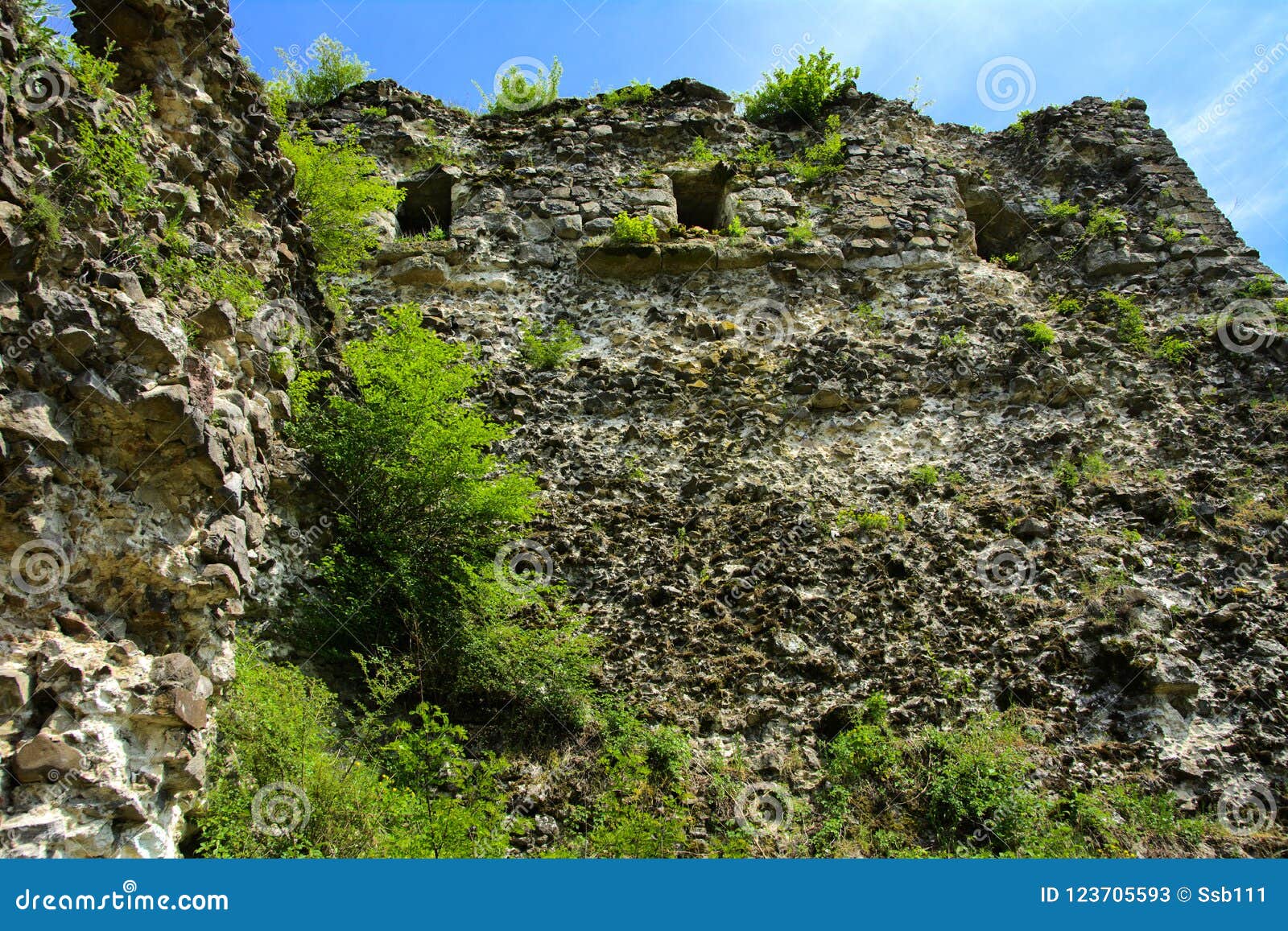 Ancient Ruins of the Castle of the Town of Khust & X28;Dracula Castle ...
