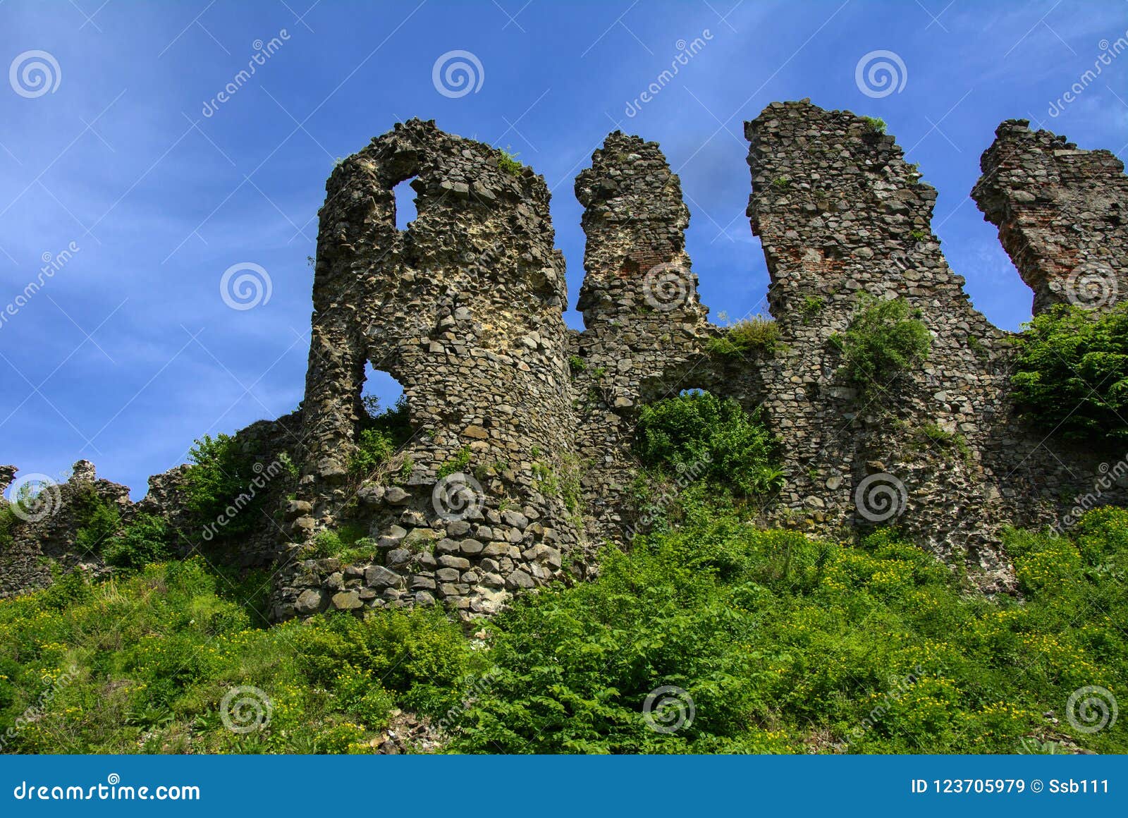 Ancient Ruins of the Castle of the Town of Khust & X28;Dracula Castle ...