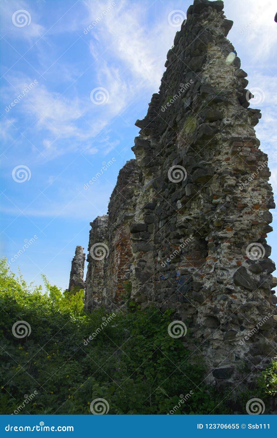 Ancient Ruins of the Castle of the Town of Khust & X28;Dracula Castle ...