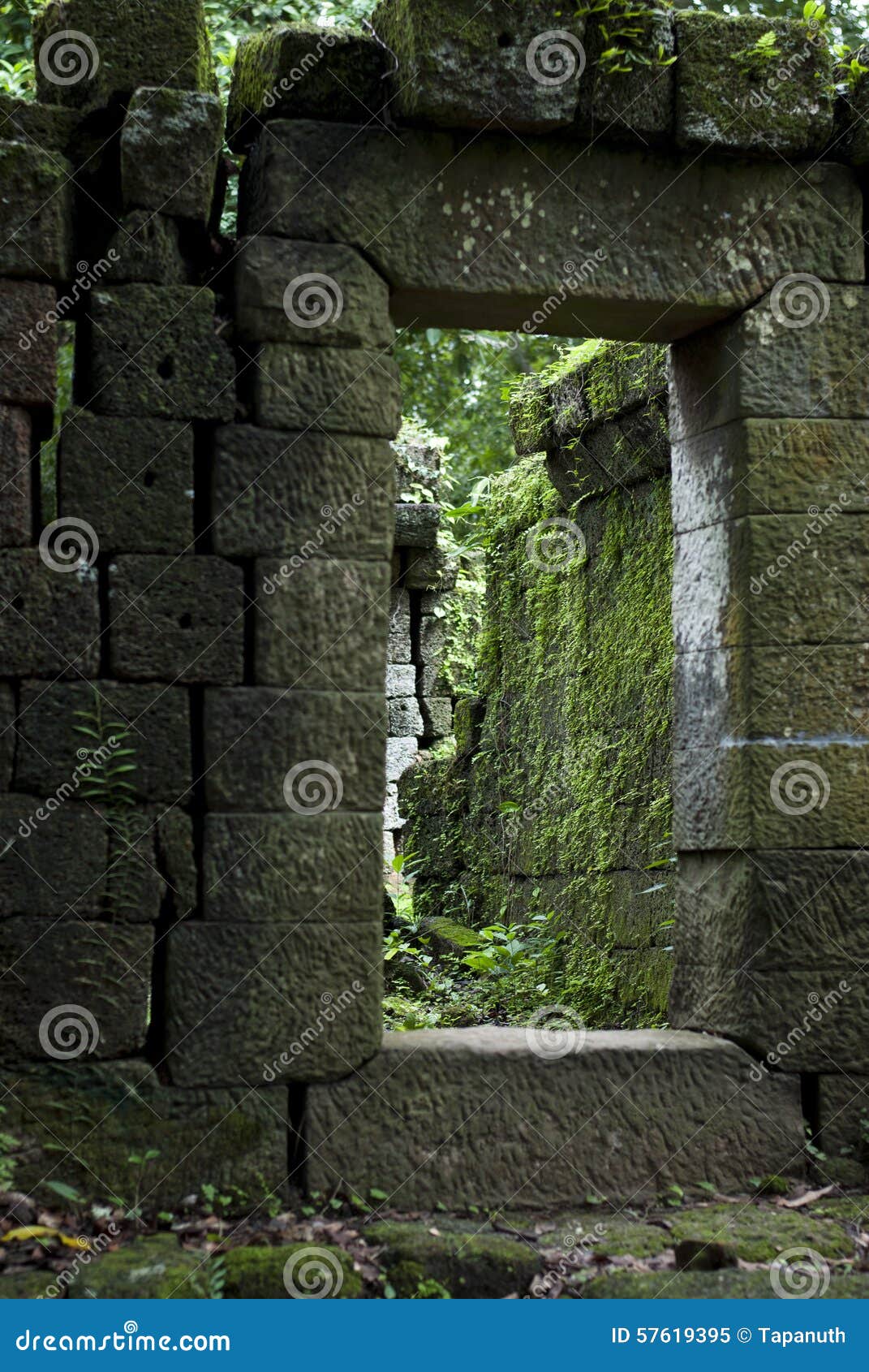 Ancient Ruins Deep in a Forest Stock Image - Image of creep, tomb: 57619395