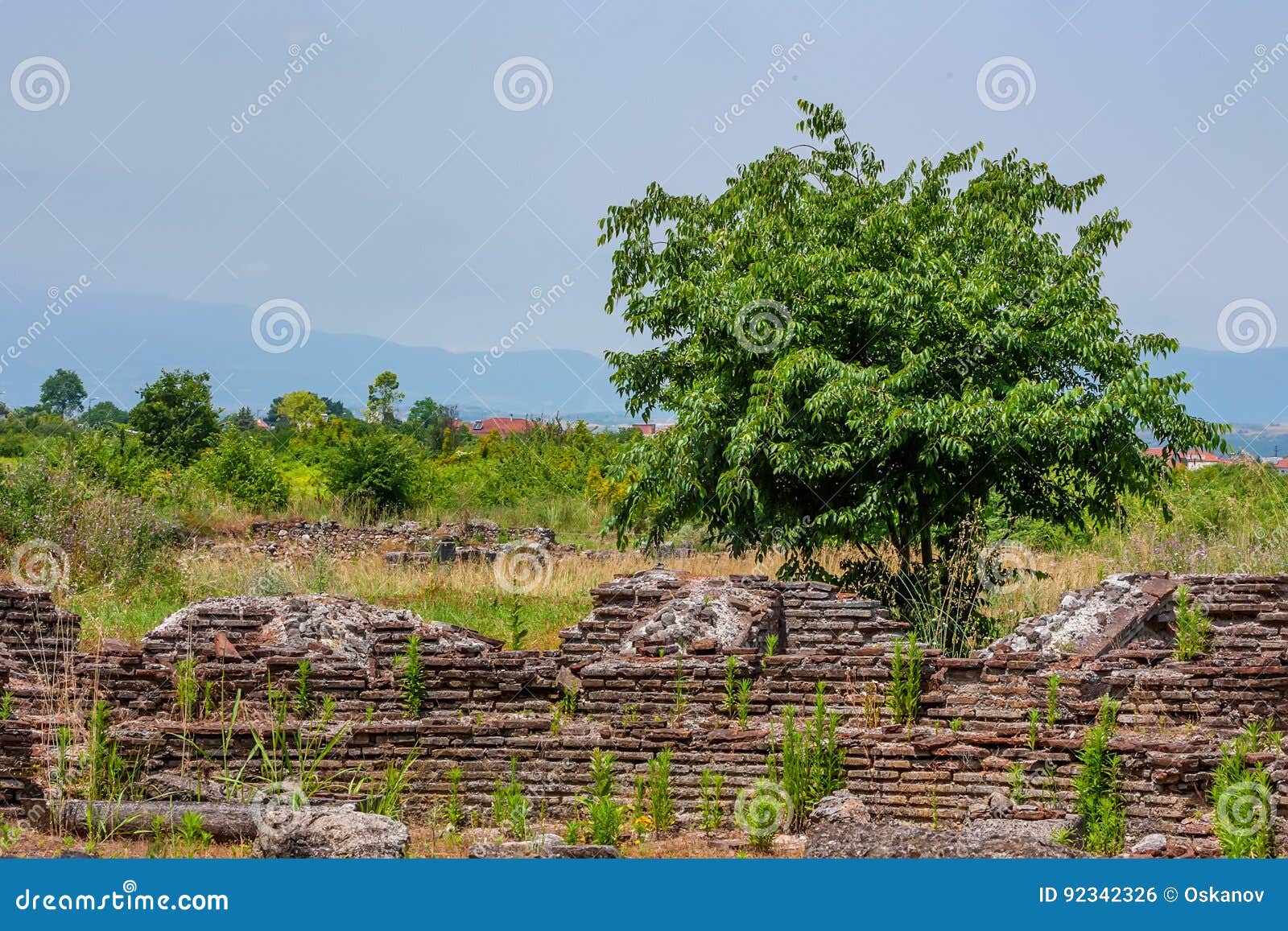 Ancient Ruins in Dion, Greece. Stock Photo - Image of dion, building ...