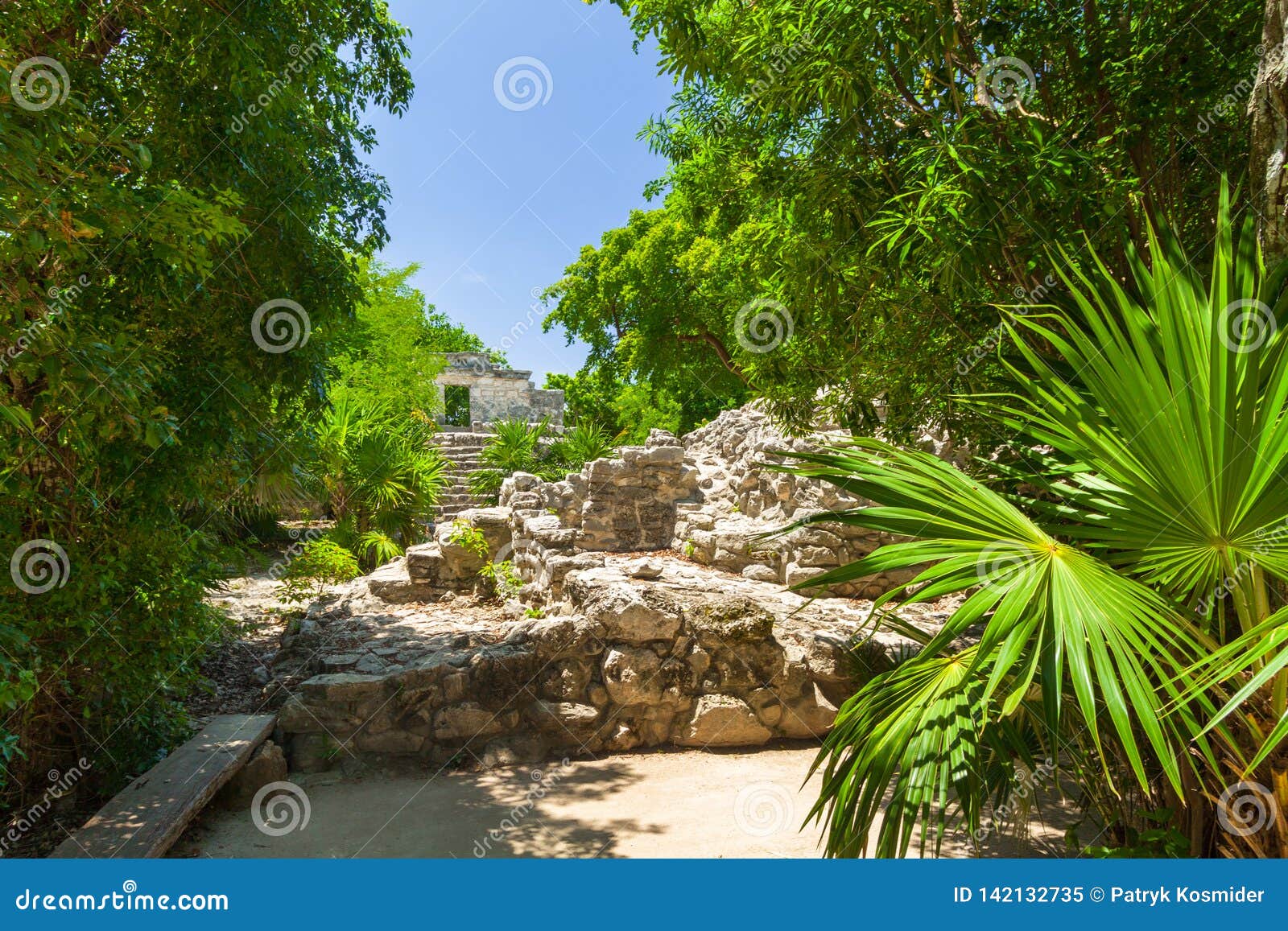 Ancient Ruins in the Jungle of Yucatan, Mexico Stock Image - Image of ...
