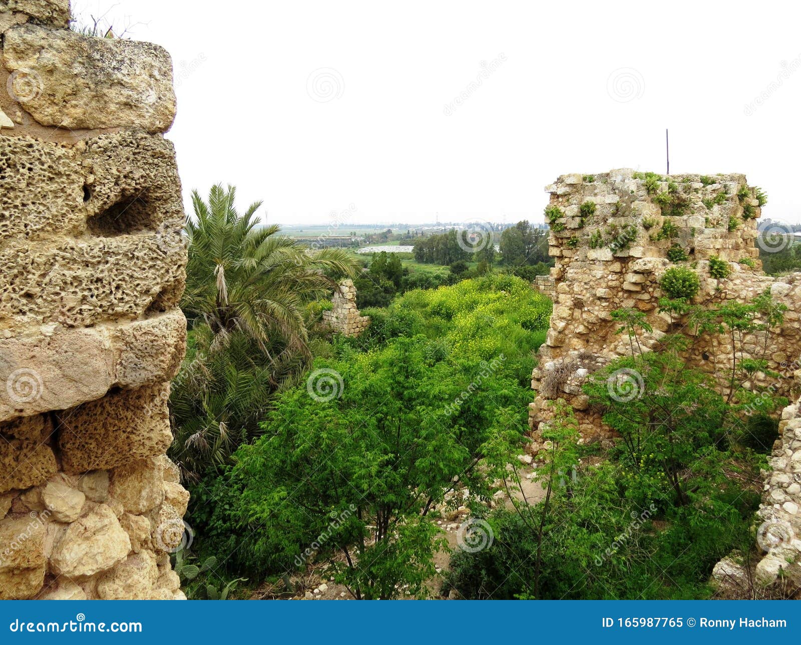 Ancient Ruins of Kakoon Fort, Hefer Valey, Israel Stock Image - Image ...