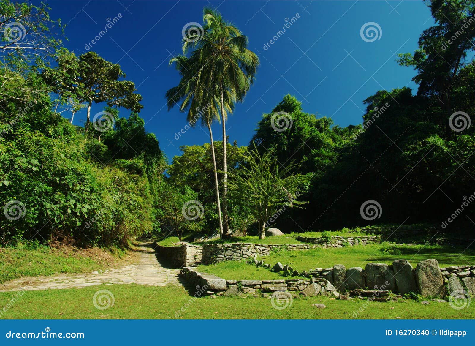 Ancient Ruins in Northern Colombia Stock Photo - Image of colombia ...