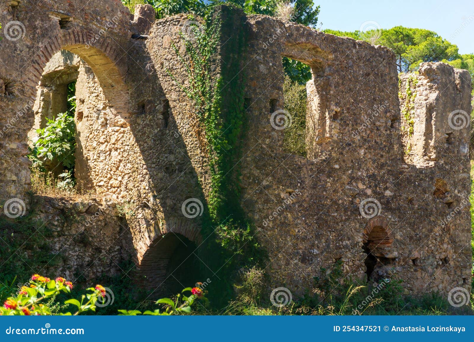 Ancient Ruins Overgrown with Plants Stock Image - Image of beautiful ...