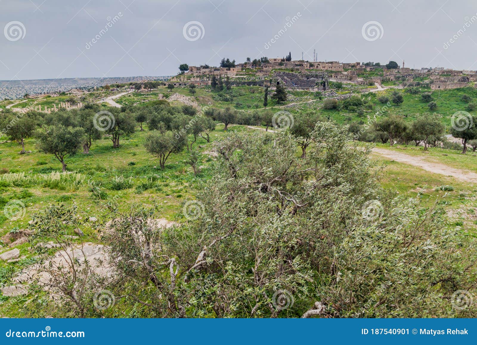 Ruins of Umm Qais stock image. Image of building, historic - 187540901