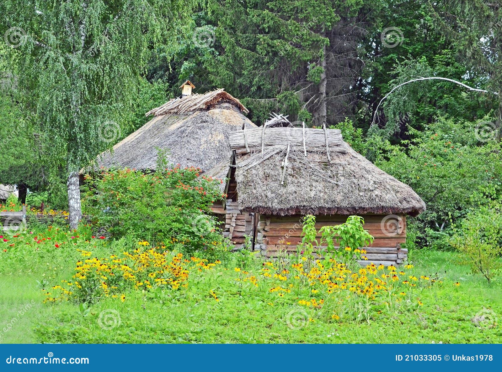 Ancient rural hut and barn stock image. Image of arrowwood - 21033305
