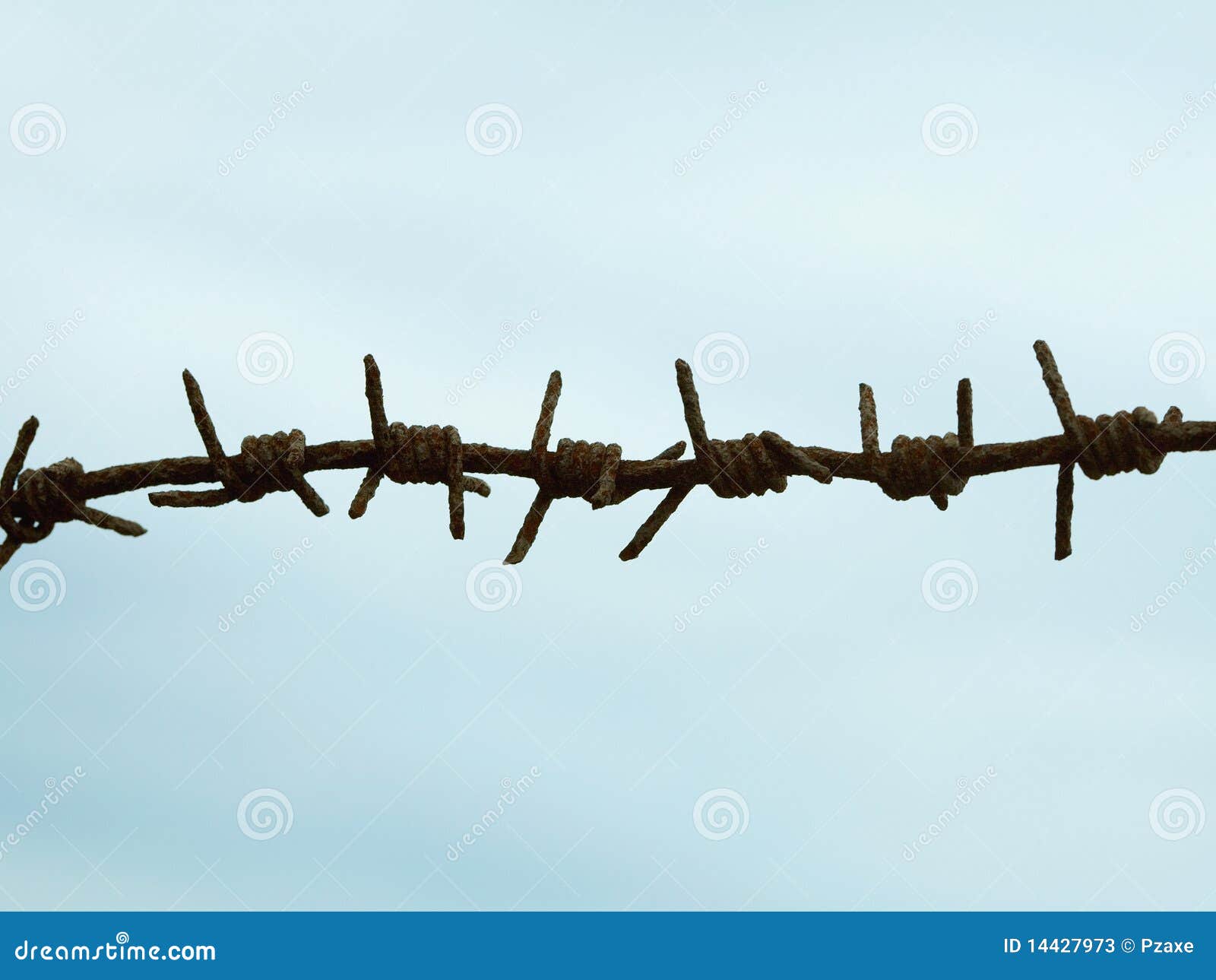 Rusty Barbed Razor Wire Tape Corroded Macro Closeup, Seamless Rusted ...