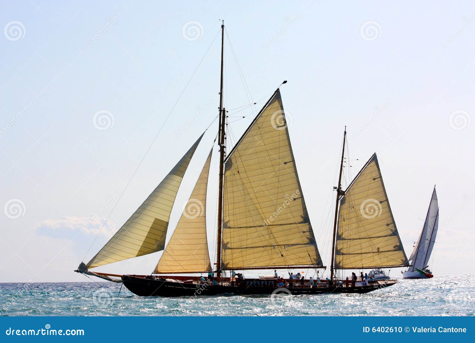 Ancient Sailing Ships Regatta Stock Photo - Image of ancient, editorial ...