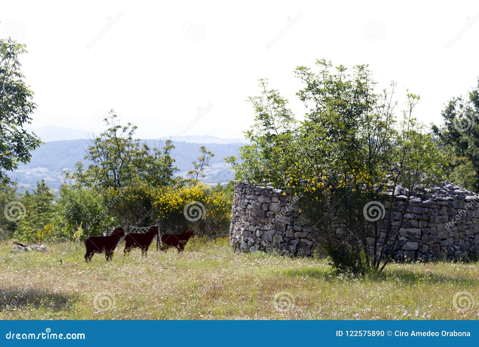 Ancient sheepfold stock photo. Image of landscape, architecture - 122575890