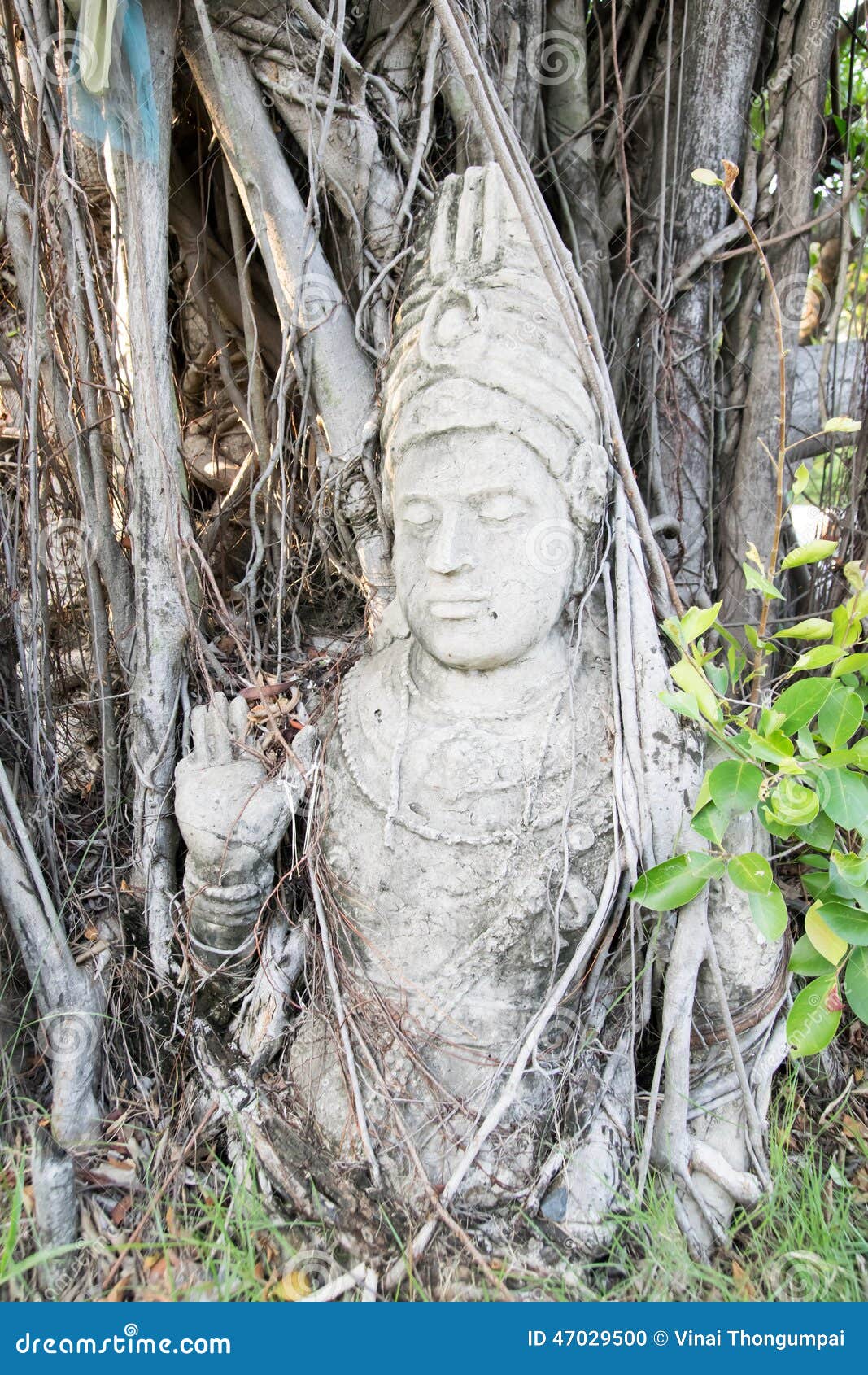 Ancient Shiva Statue Under Tree Ancient Siam Stock Photos - Free ...