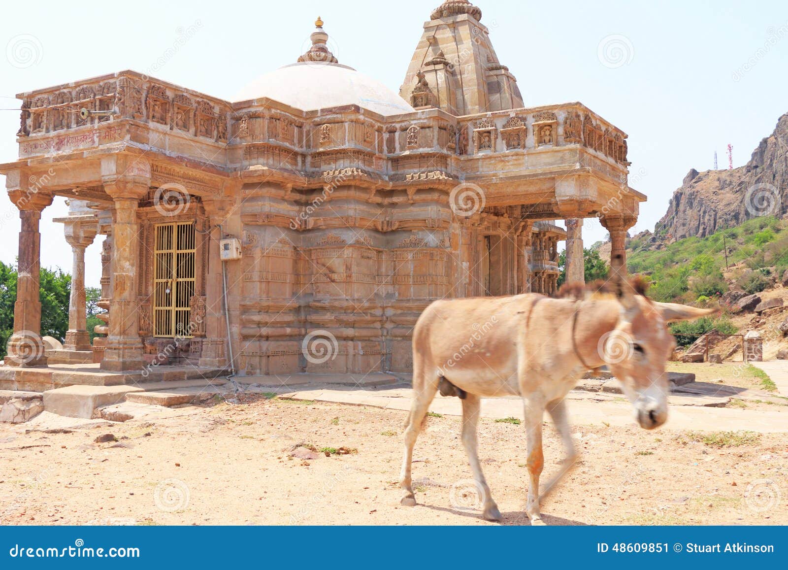Ancient Shrine and Donkey in this Massive Archaeological Park Co ...
