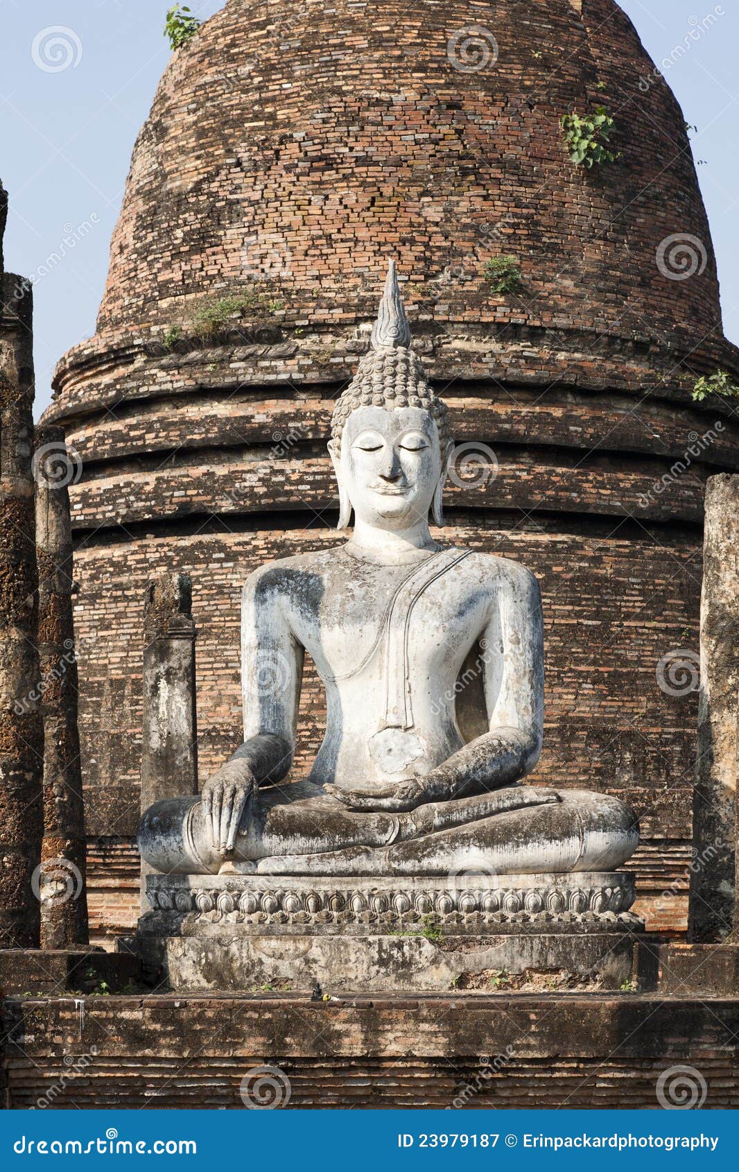 Ancient Siamese Money, Cowries Shell Money Used In Ayutthaya Per Stock ...