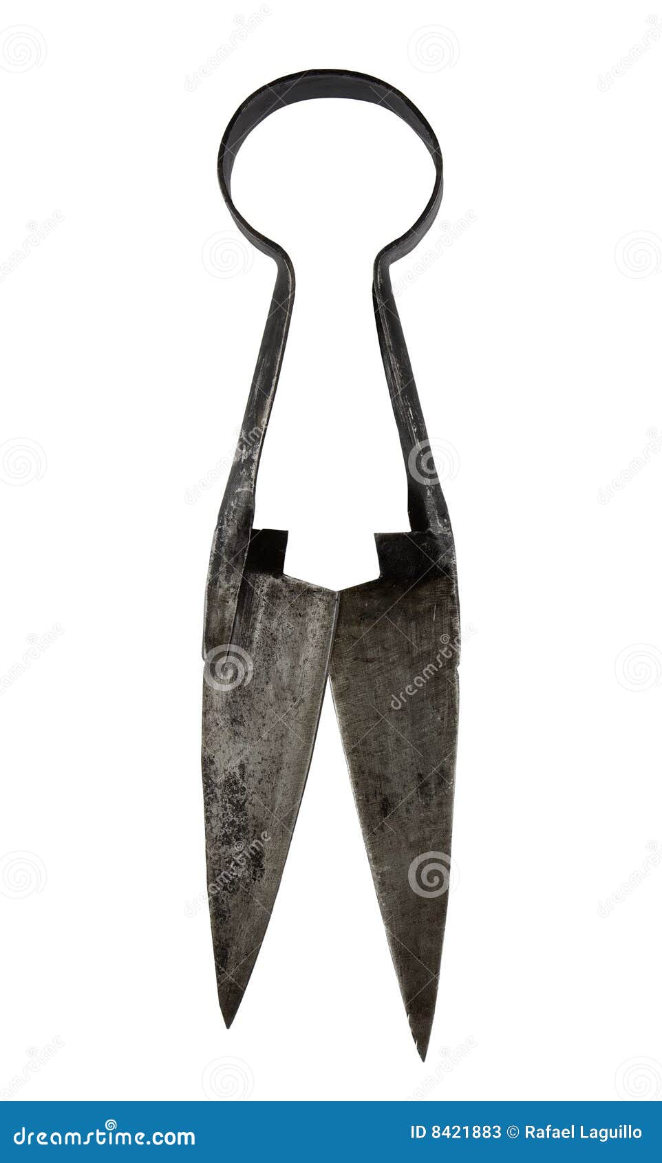 Ancient spring scissors stock image. Image of cutting - 8421883