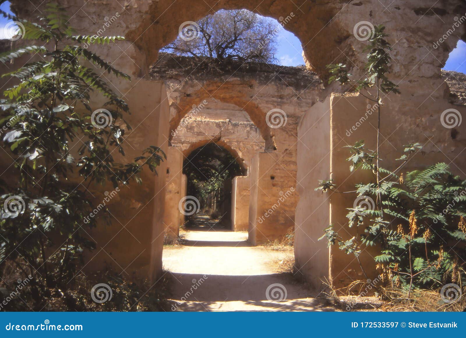 Ancient Stable Walls and Columns Stock Image - Image of overgrown ...
