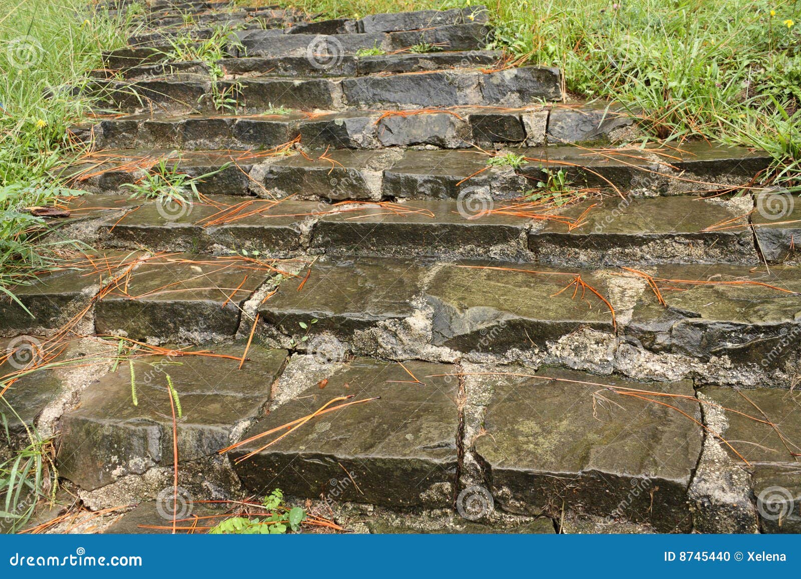 Ancient steps stock photo. Image of ladder, steps, architecture - 8745440