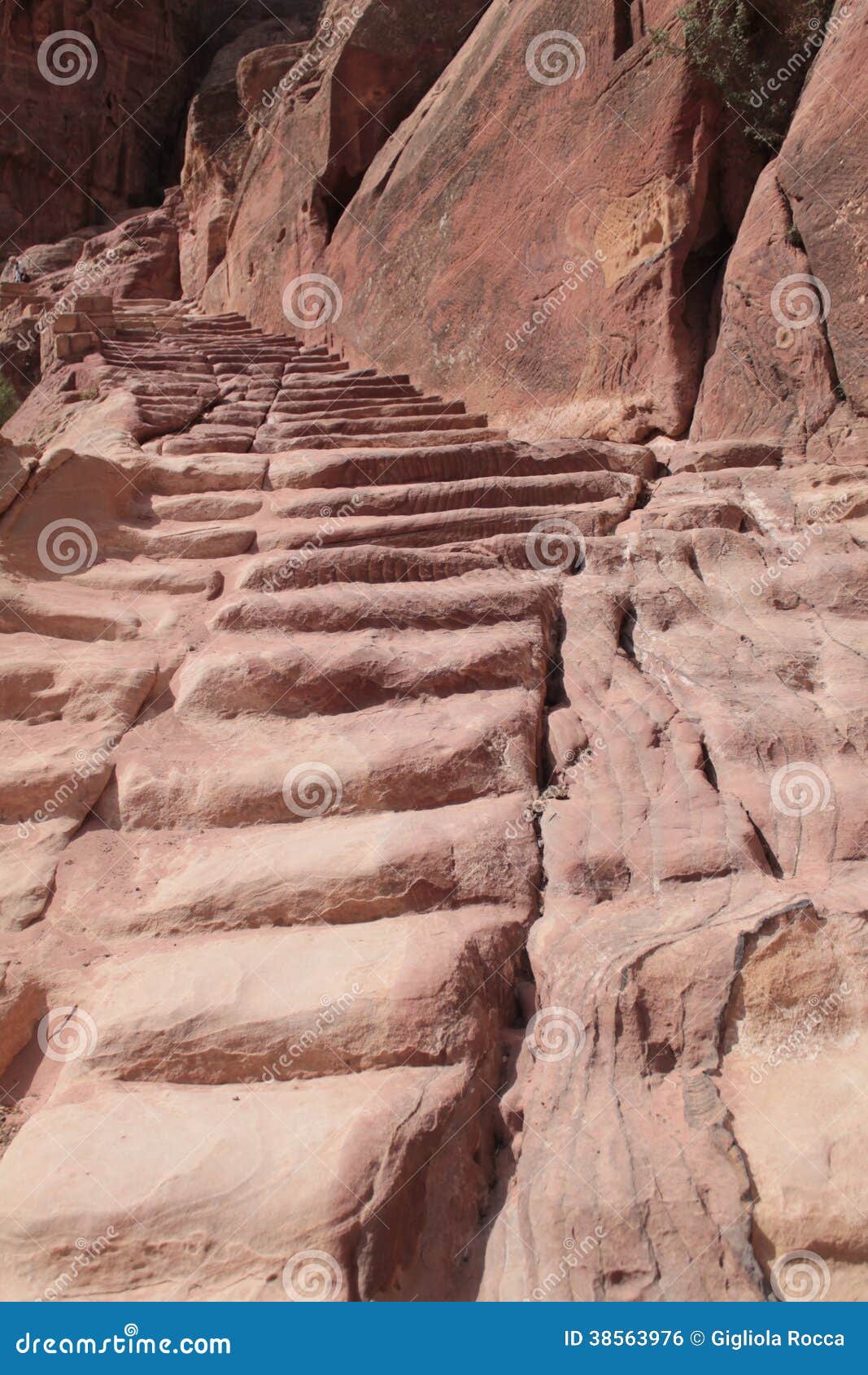 Ancient steps,Petra stock photo. Image of khasneh, donkey - 38563976