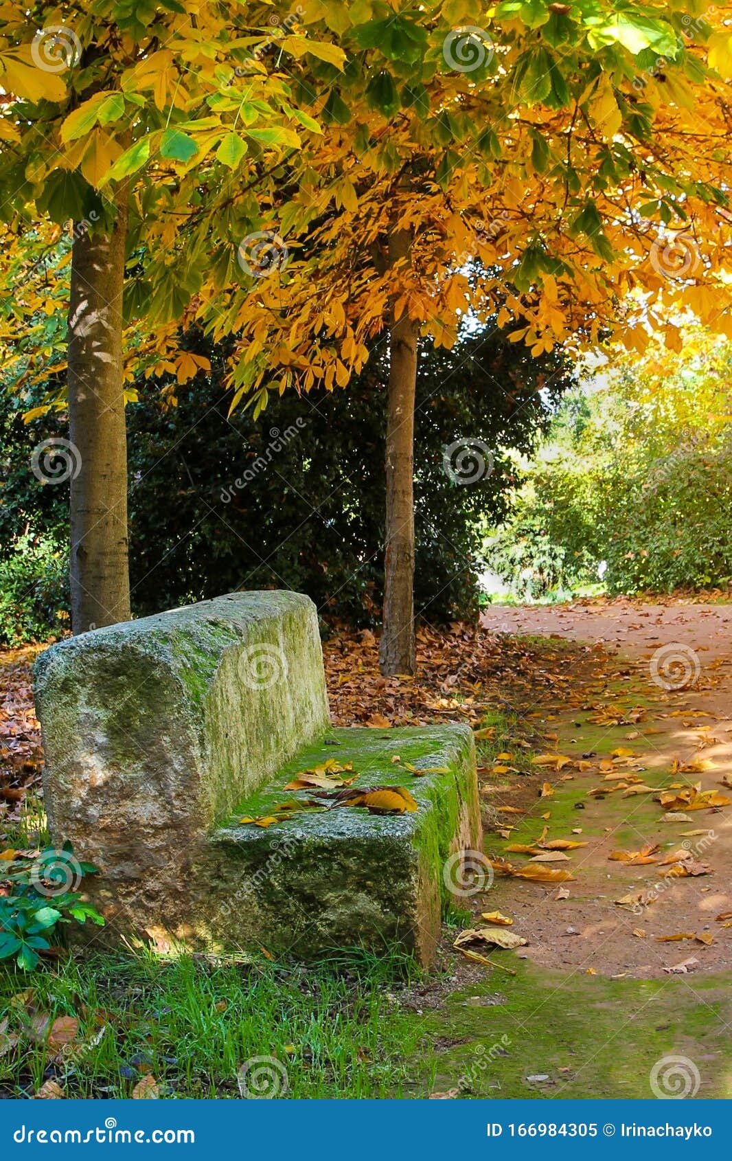 Ancient Stone Bench in a Park Granada Spain Stock Image - Image of ...