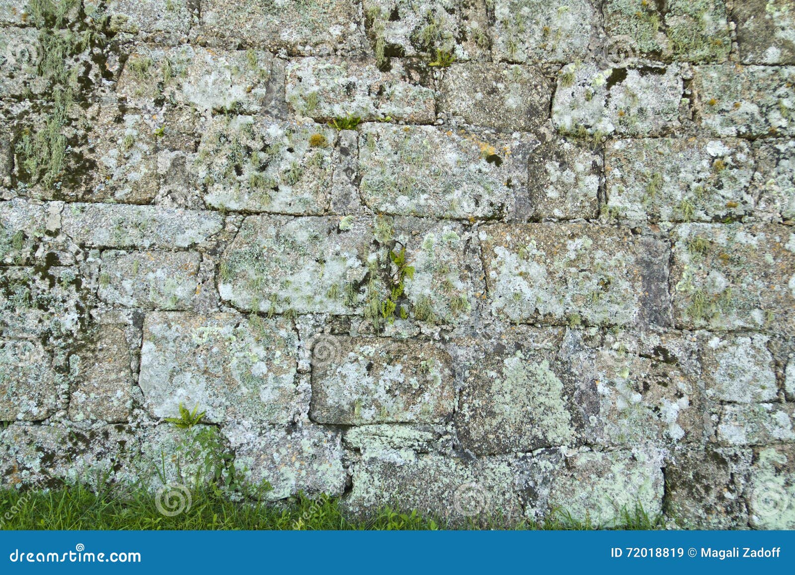 Ancient Stone Brick Wall Texture with Lichen and Grass Stock Image ...