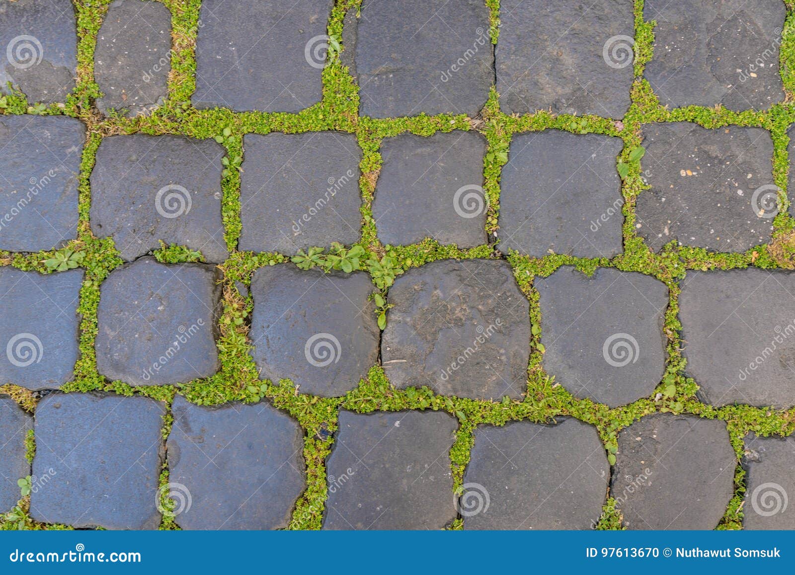 Ancient Stone Floor Pattern with Green Grass As Texture or Background ...