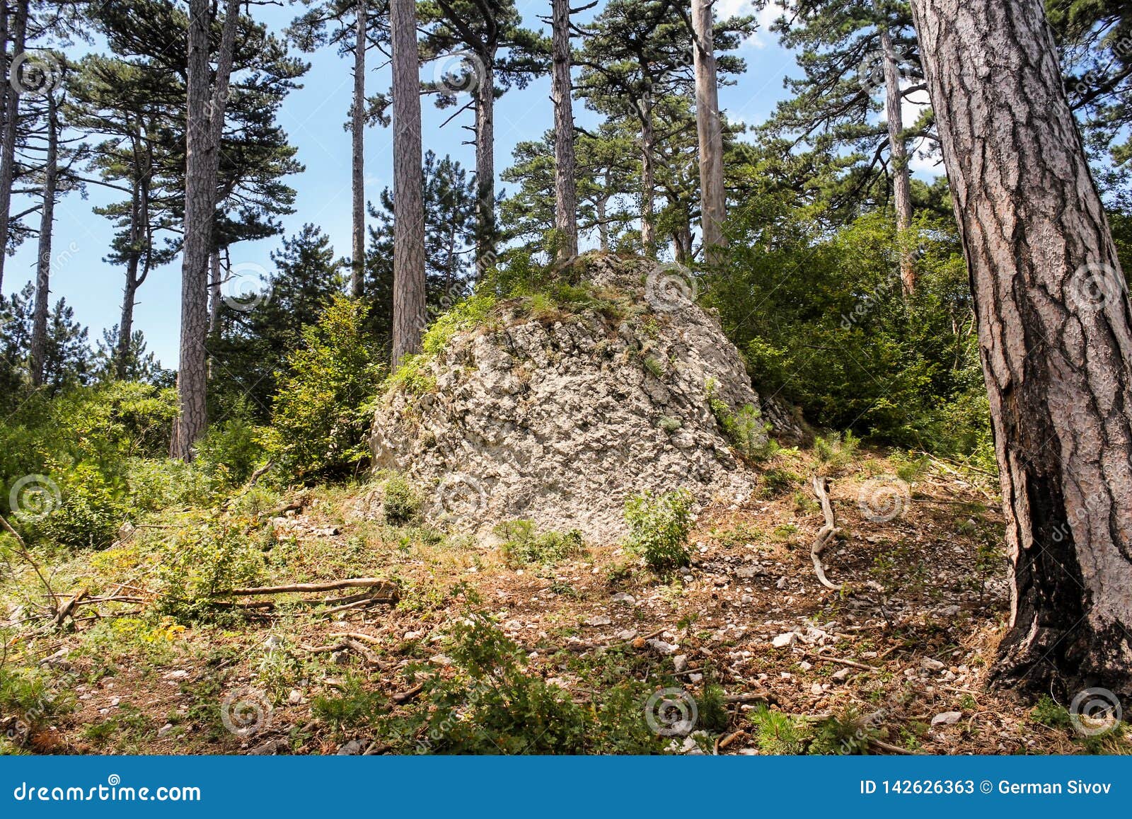 Ancient Stone in the Forest Stock Image - Image of pine, rocky: 142626363