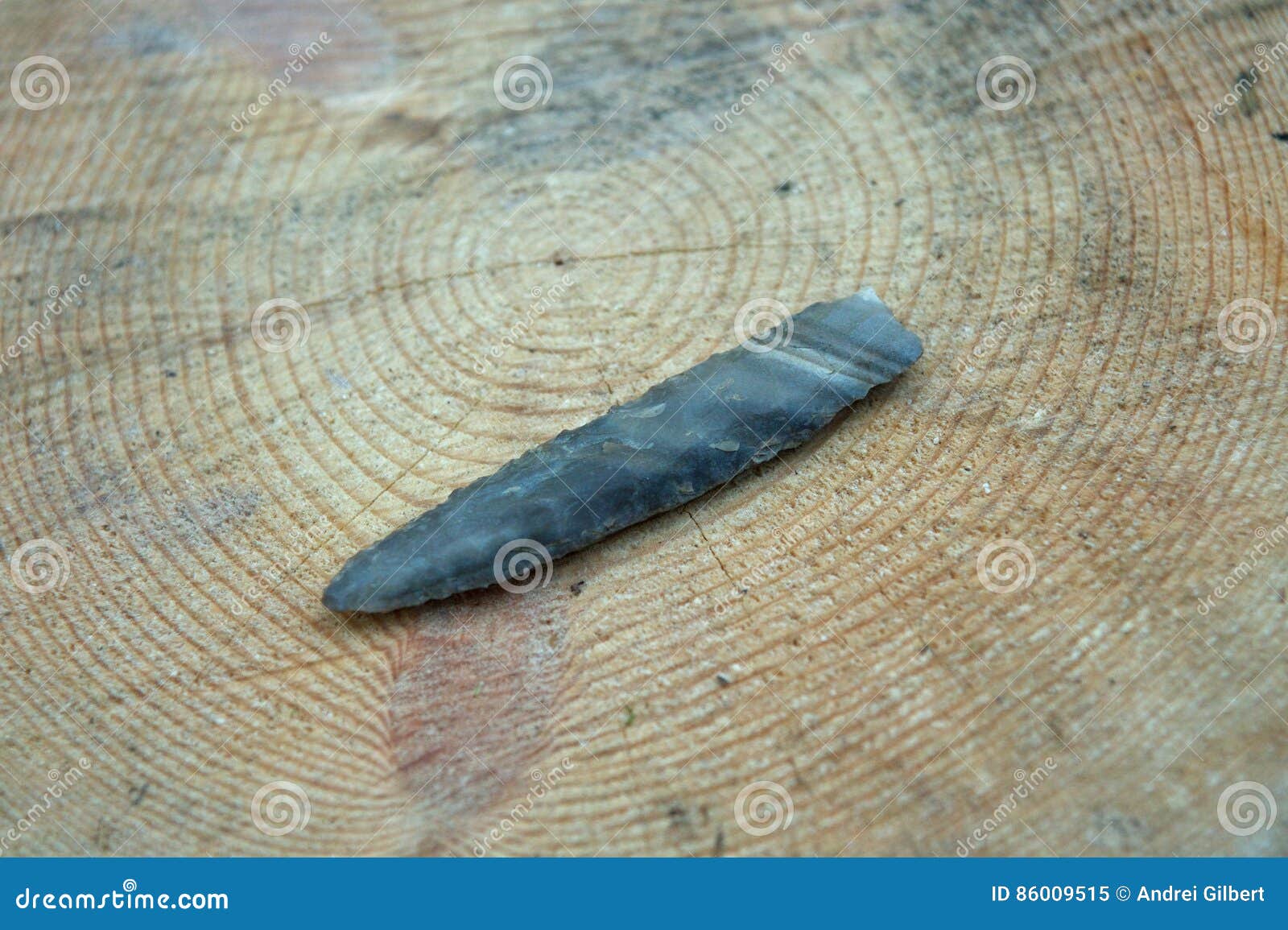 Ancient Stone Knife on a Cut Tree Stock Image - Image of paleolith ...