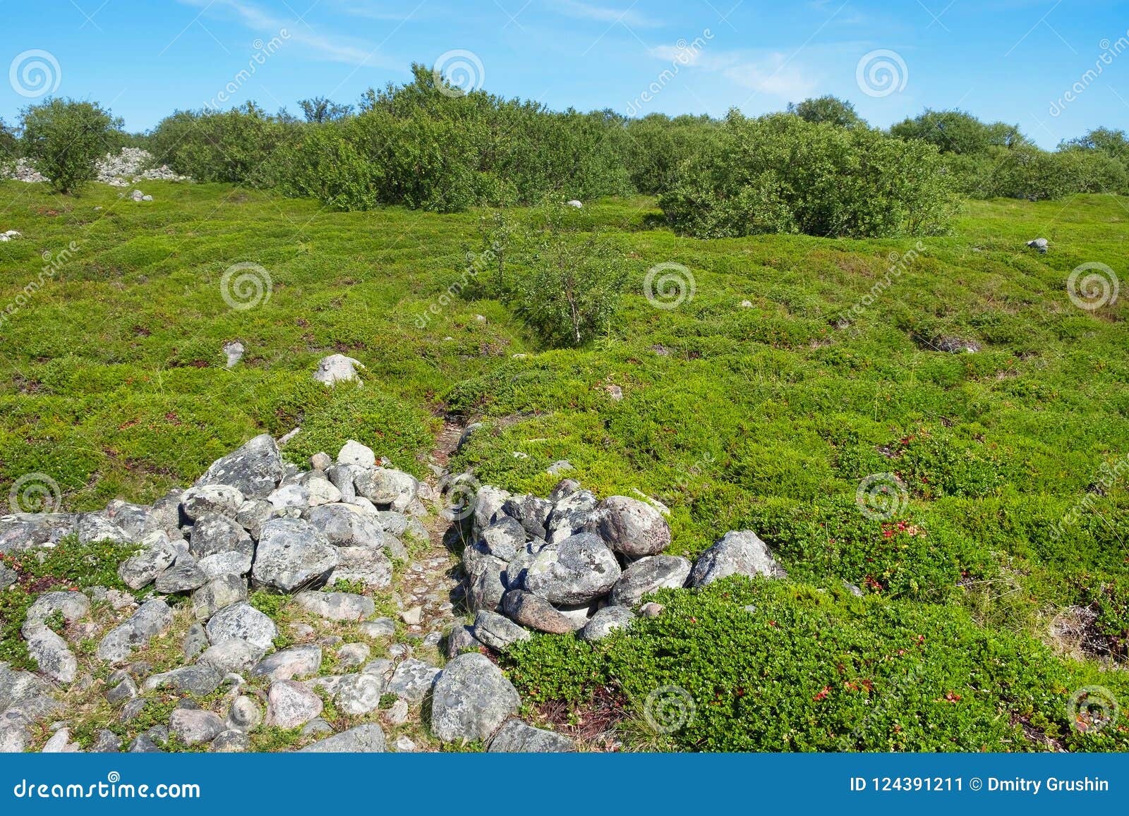 Ancient stone labyrinth stock image. Image of bushes - 124391211