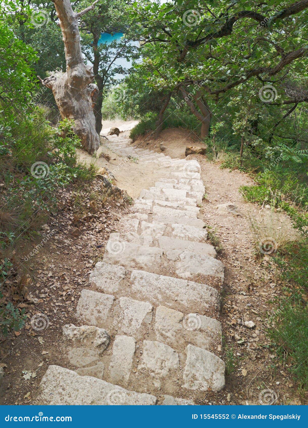 Stone Ladder Royalty-Free Stock Photo | CartoonDealer.com #126723393