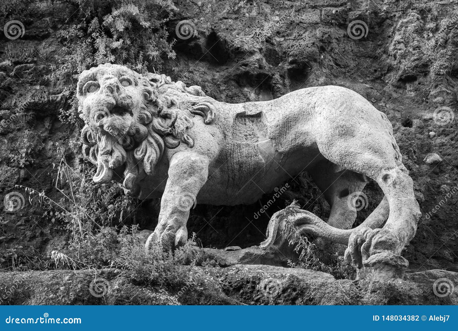 Ancient stone lion stock photo. Image of jaws, monument - 148034382