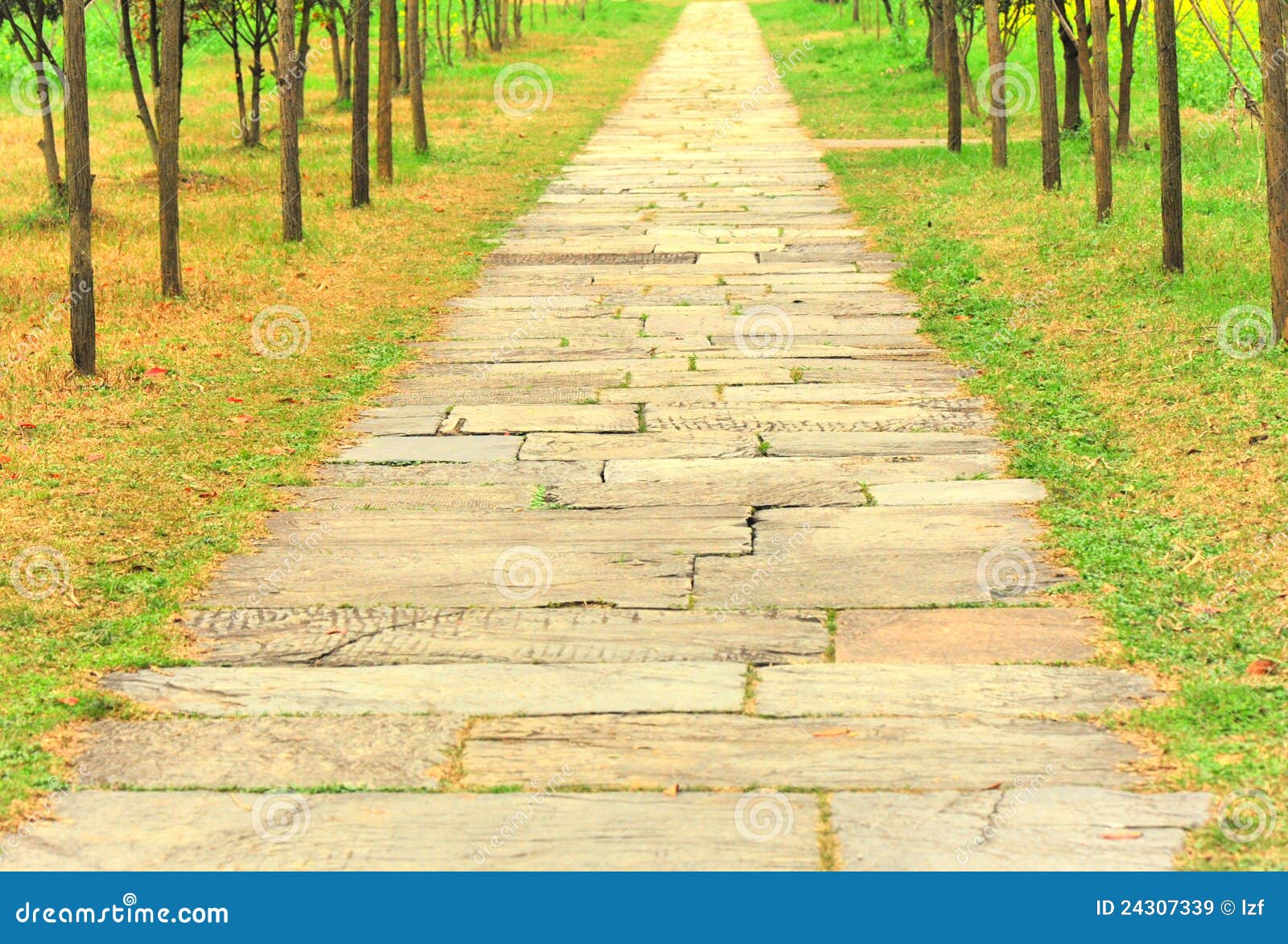 Ancient Stone Path in Garden Stock Image - Image of facade, passageway ...