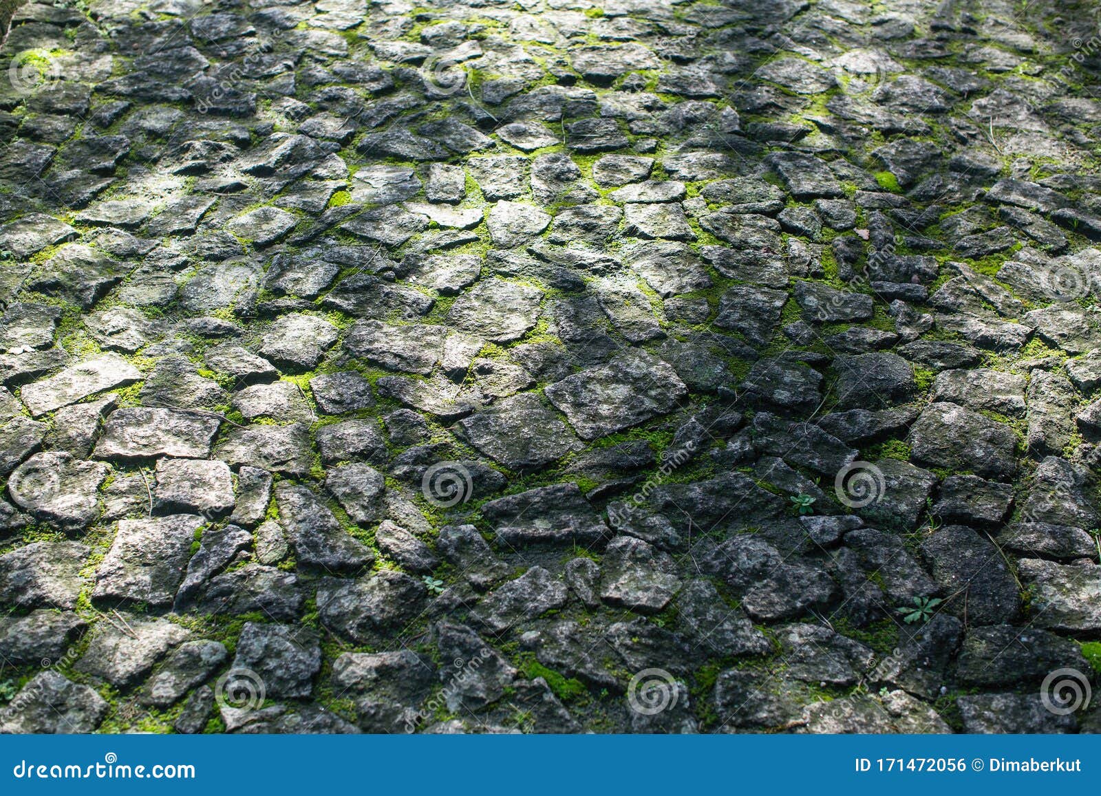 Ancient Stone Pavement with Moss. Stock Photo - Image of daylight ...