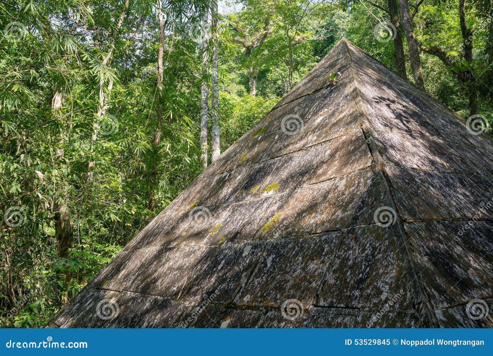 Ancient Stone Pyramid in the Forest Stock Image - Image of trees ...