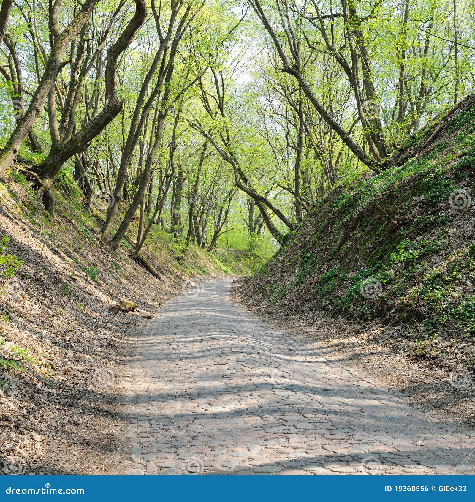 Ancient stone road stock photo. Image of koenigsberg - 19360556