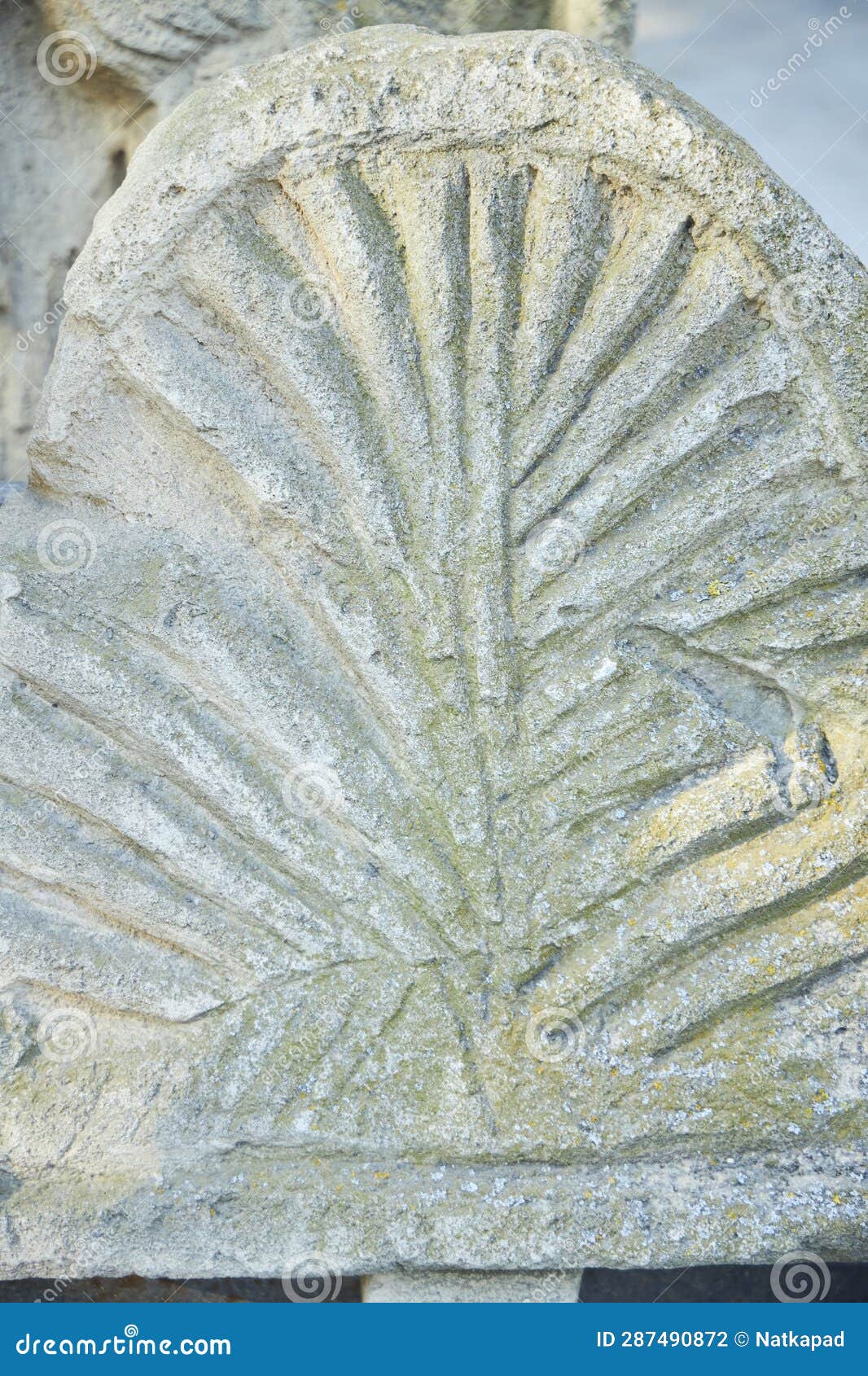 An Ancient Stone Slab from Ancient Greek Times with a Pattern or Bas ...