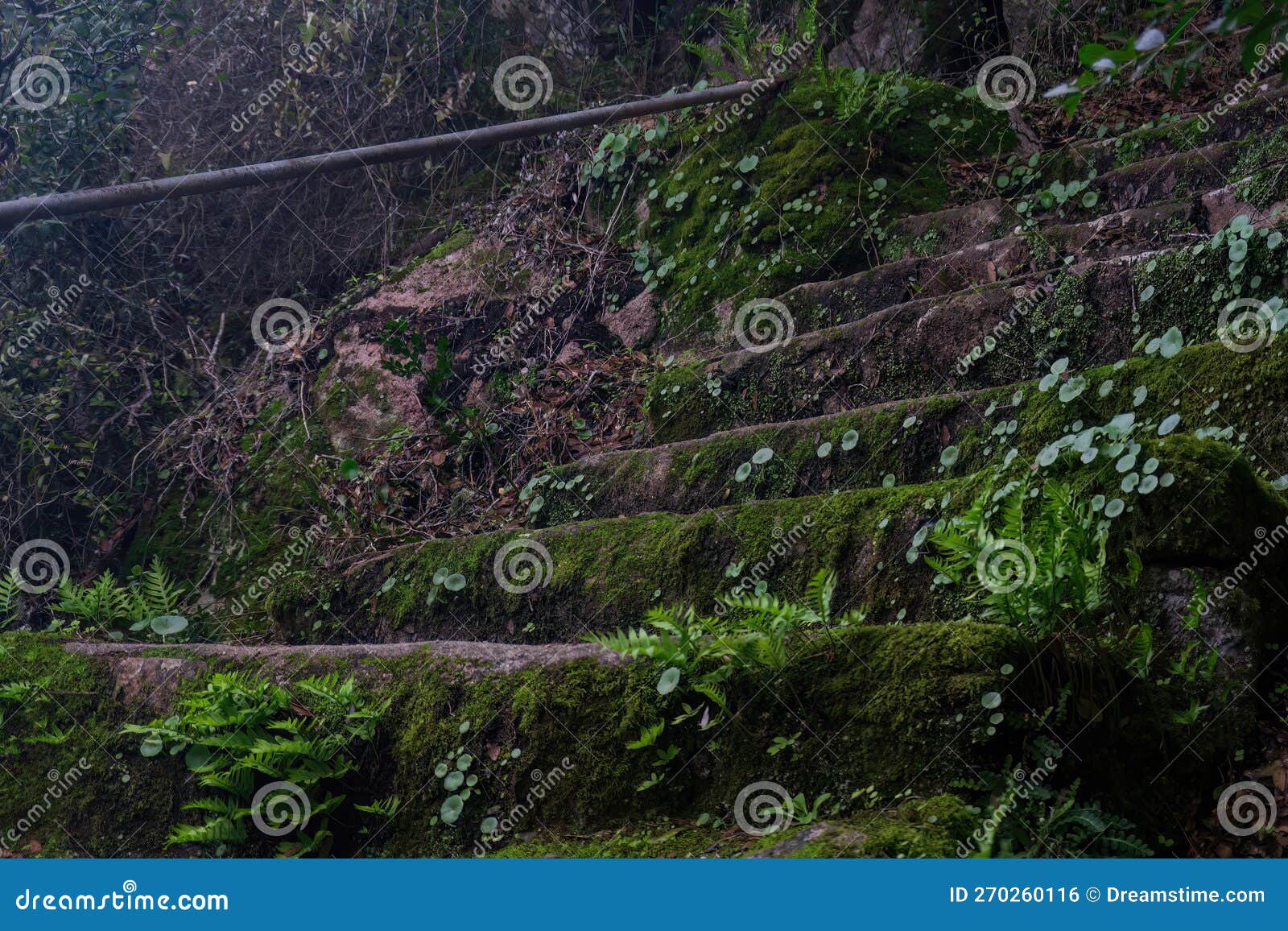 Ancient Stone Staircase Covered with Moss in the Mountains Stock Photo ...