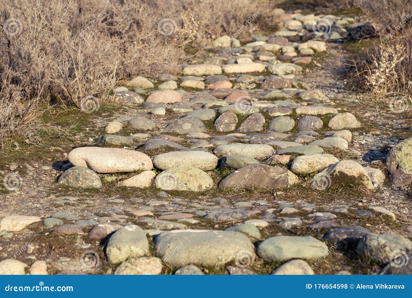 Ancient Stone Steps. the Texture of Natural Stone with Sprouted Grass ...