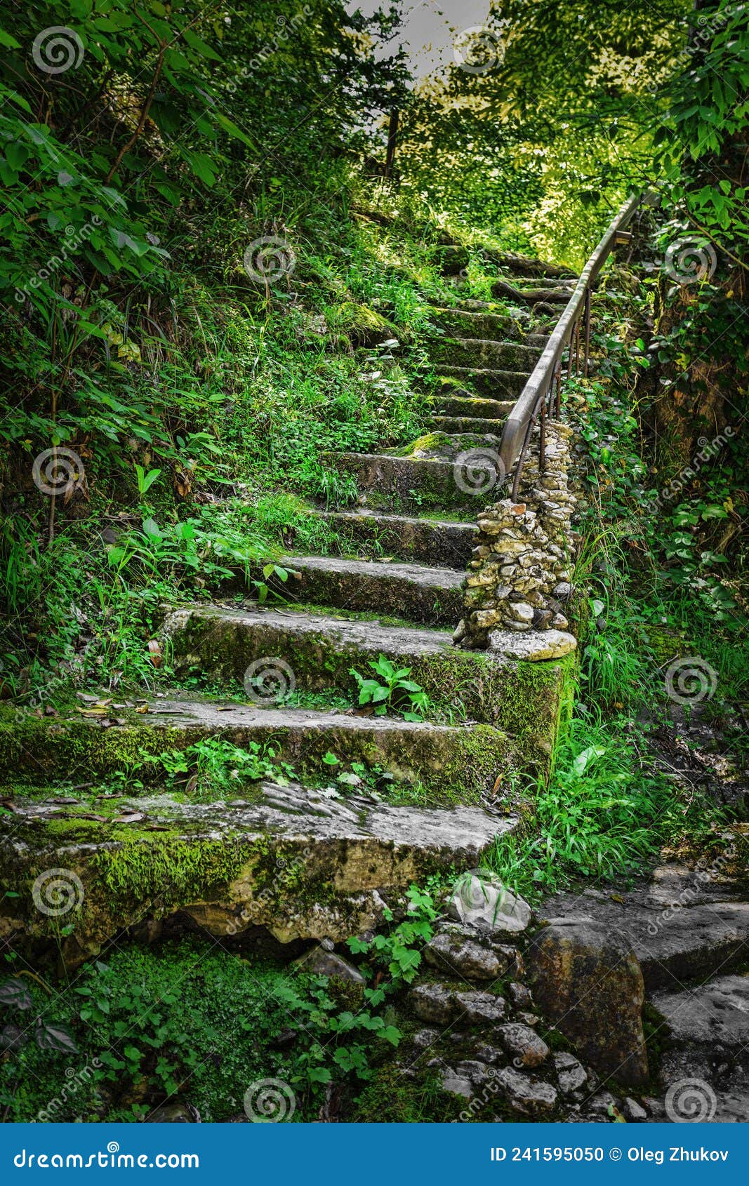 Ancient Stone Steps into the Wild Jungles Stock Photo - Image of ...