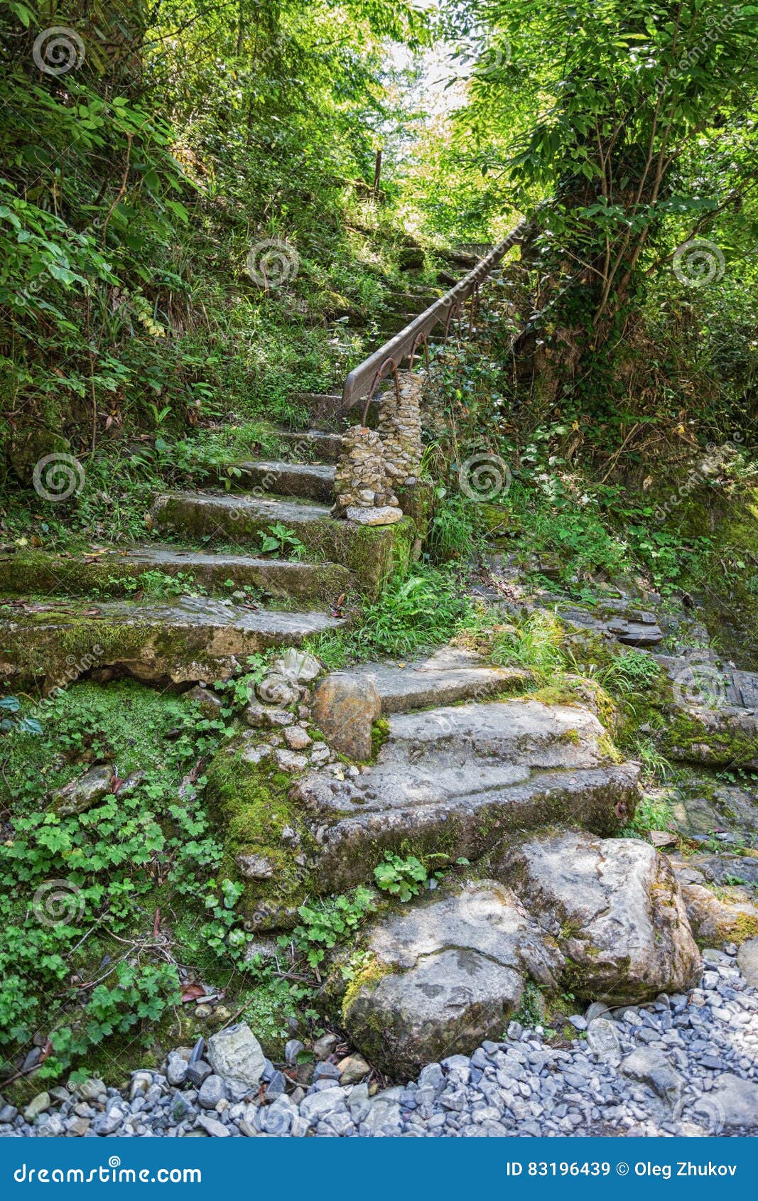 Ancient Stone Steps into the Wild Jungles Stock Image - Image of black ...